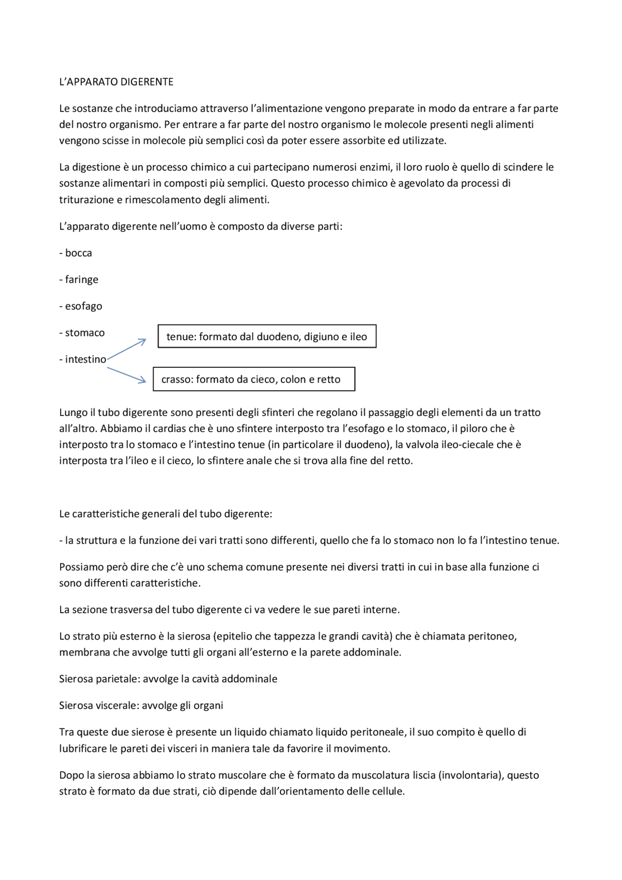 Lapparato Digerente Schemi E Mappe Concettuali Di Biologia Docsity