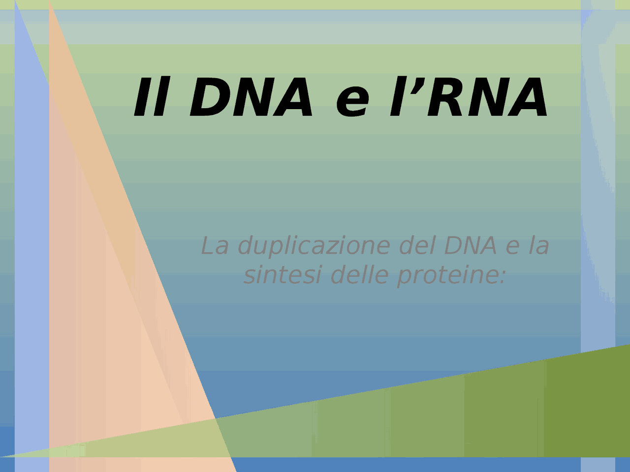Power Point Sul Dna E Rna Slide Di Biologia Docsity