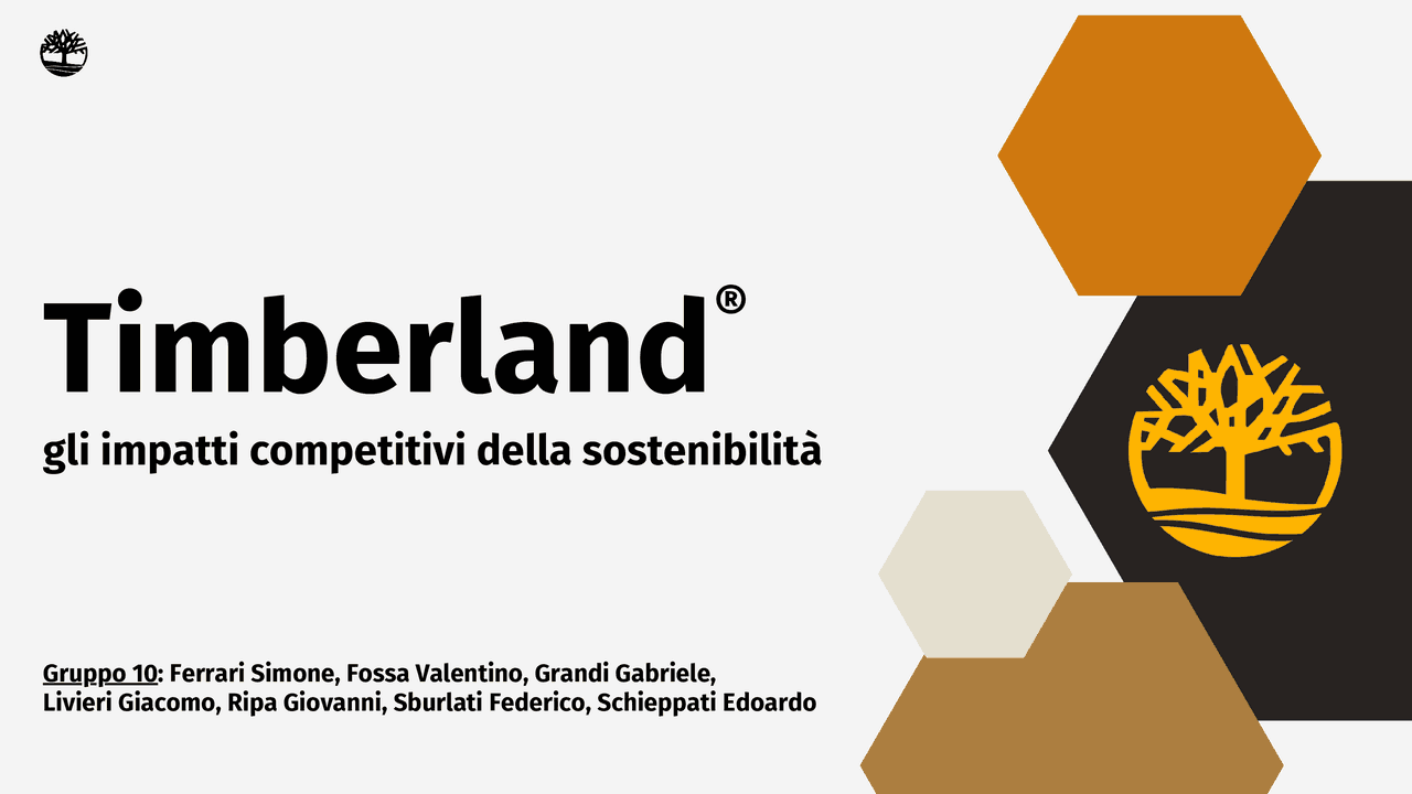 Risoluzione caso Timberland - UNIMI | Slide di Management Theory | Docsity