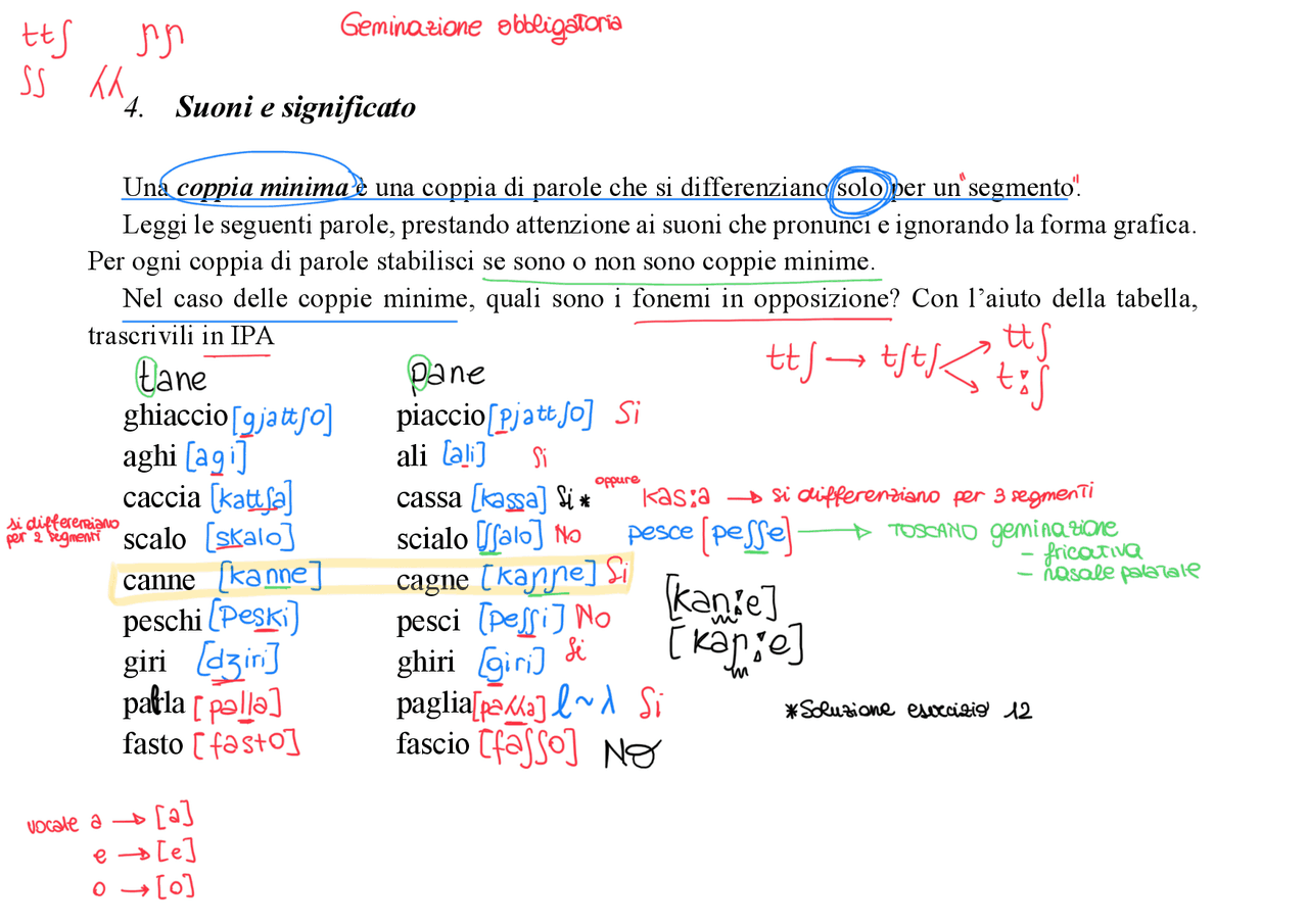 Linguistica Esercizi Esercizi Di Lingue E Letterature Classiche Docsity