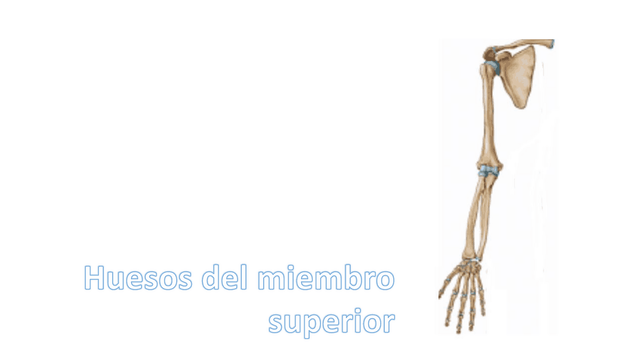 Este documento nos habla sobre las generalidades de anatomia humana ...