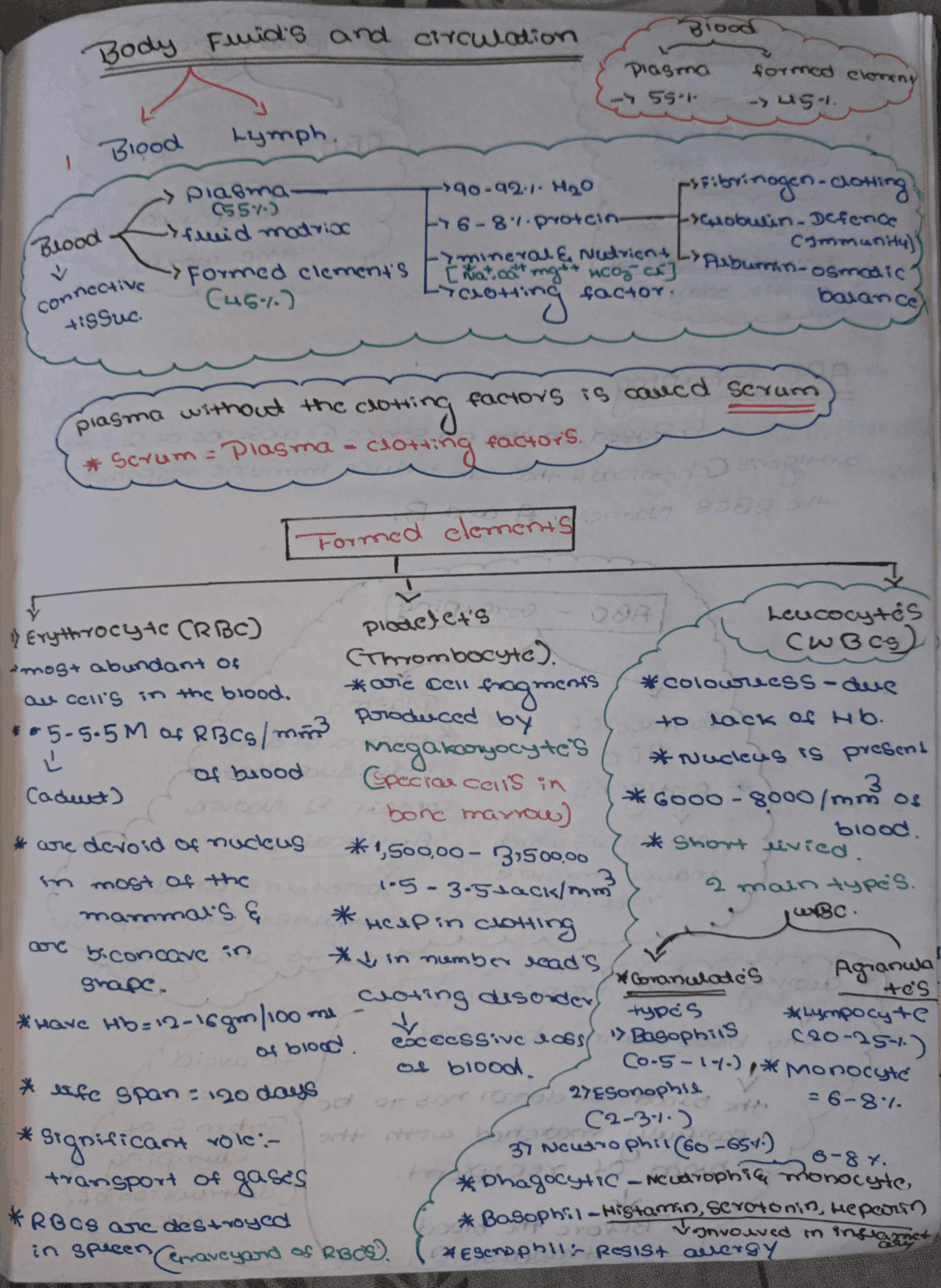Class 11, Biology ( Human physiology) body fluids and circulation | Schemes and Mind Maps ...