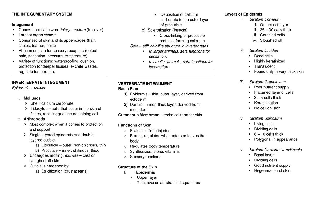 Animal Anatomy and Physiology | The Integumentary System | Study Guides ...