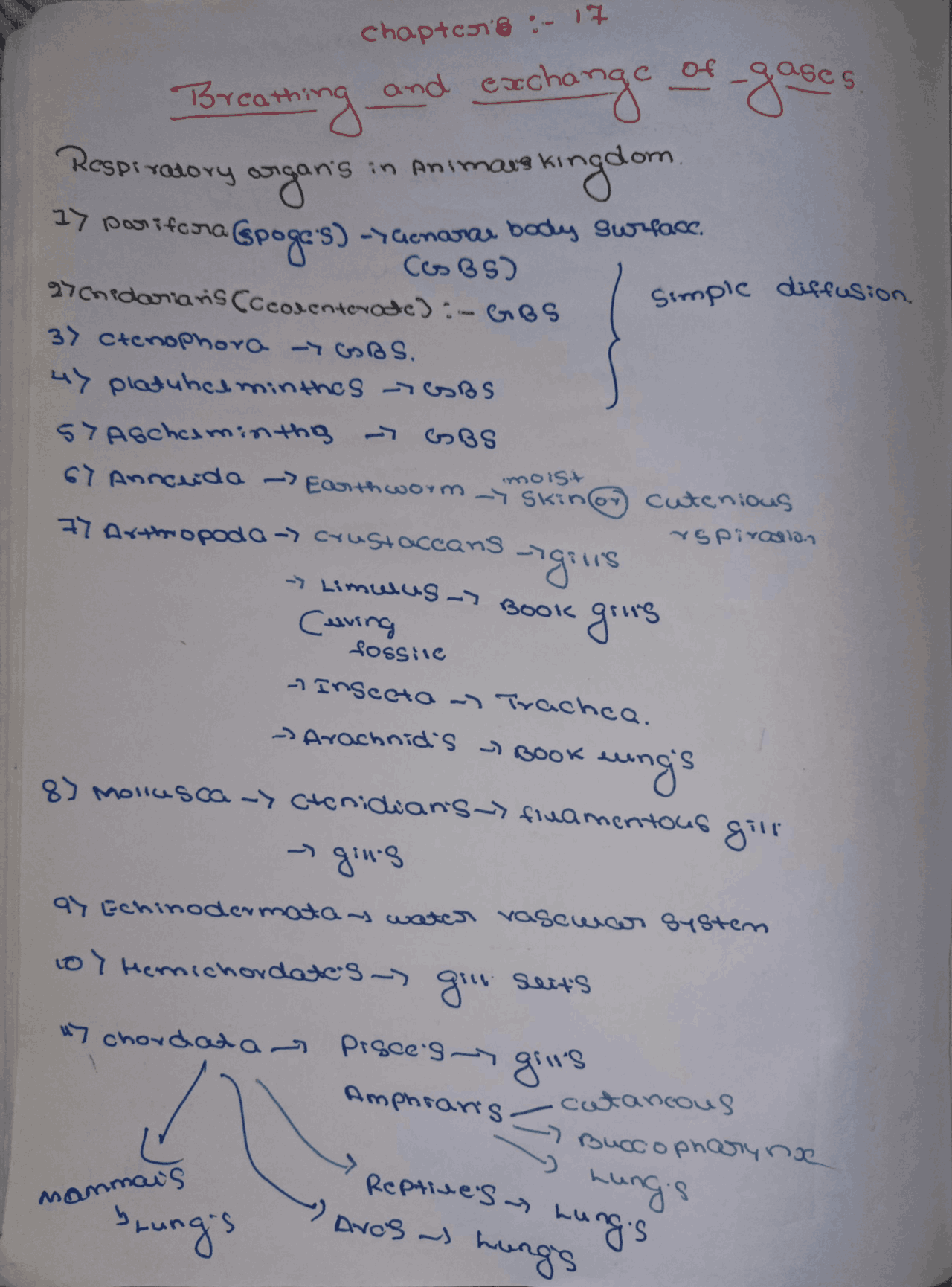 Class 11, biology (human physiology) breathing and exchange of gases ...