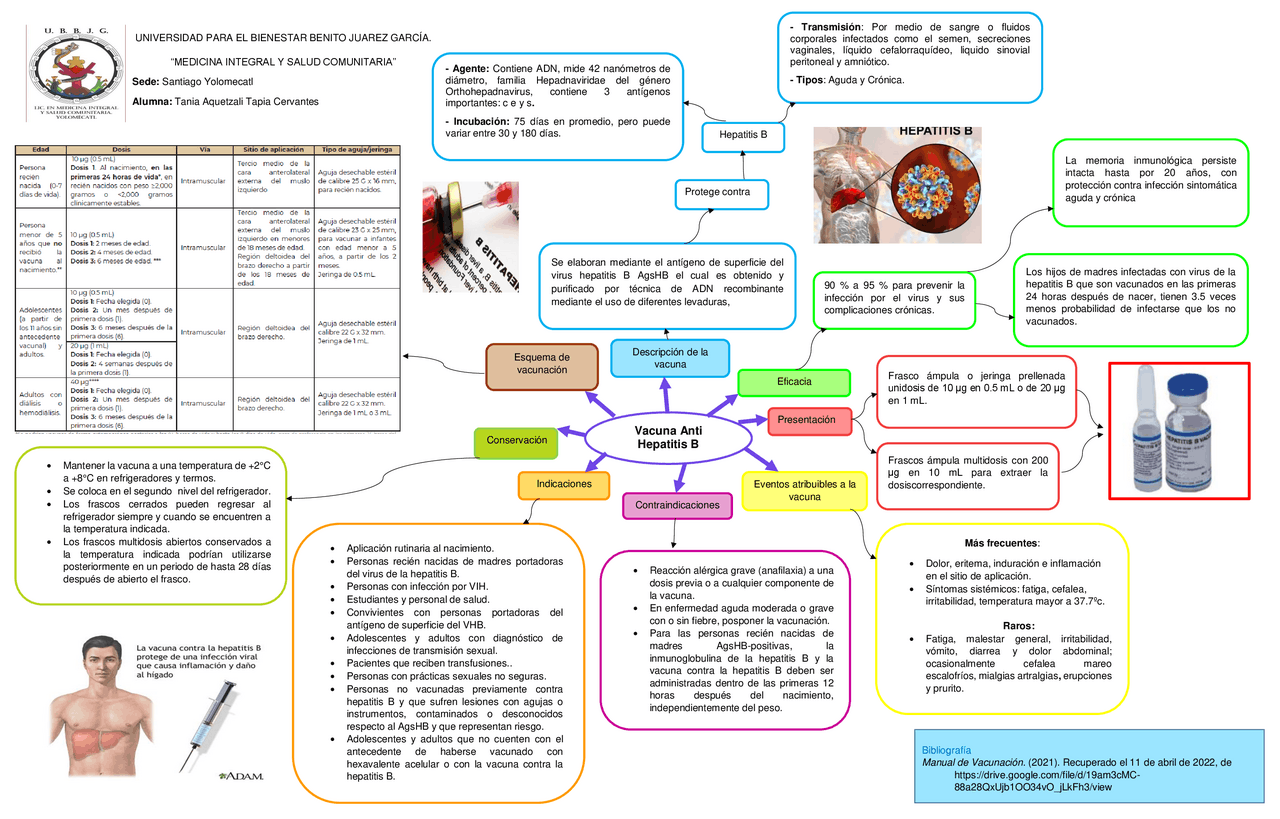 Mapa mental de vacuna hepatitis b | Esquemas y mapas conceptuales de ...