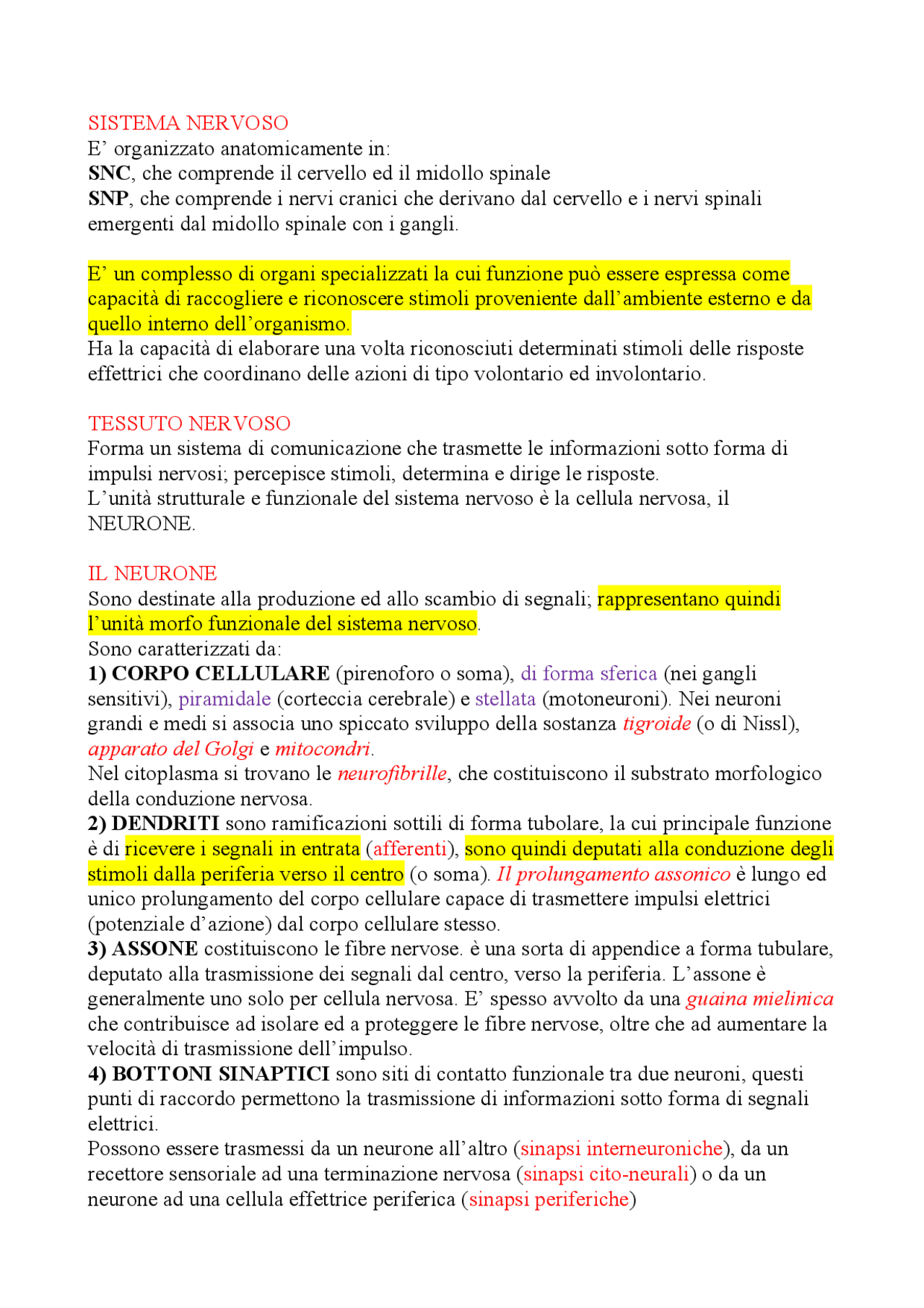 Sistema Nervoso Centrale E Periferico Appunti Di Anatomia Docsity