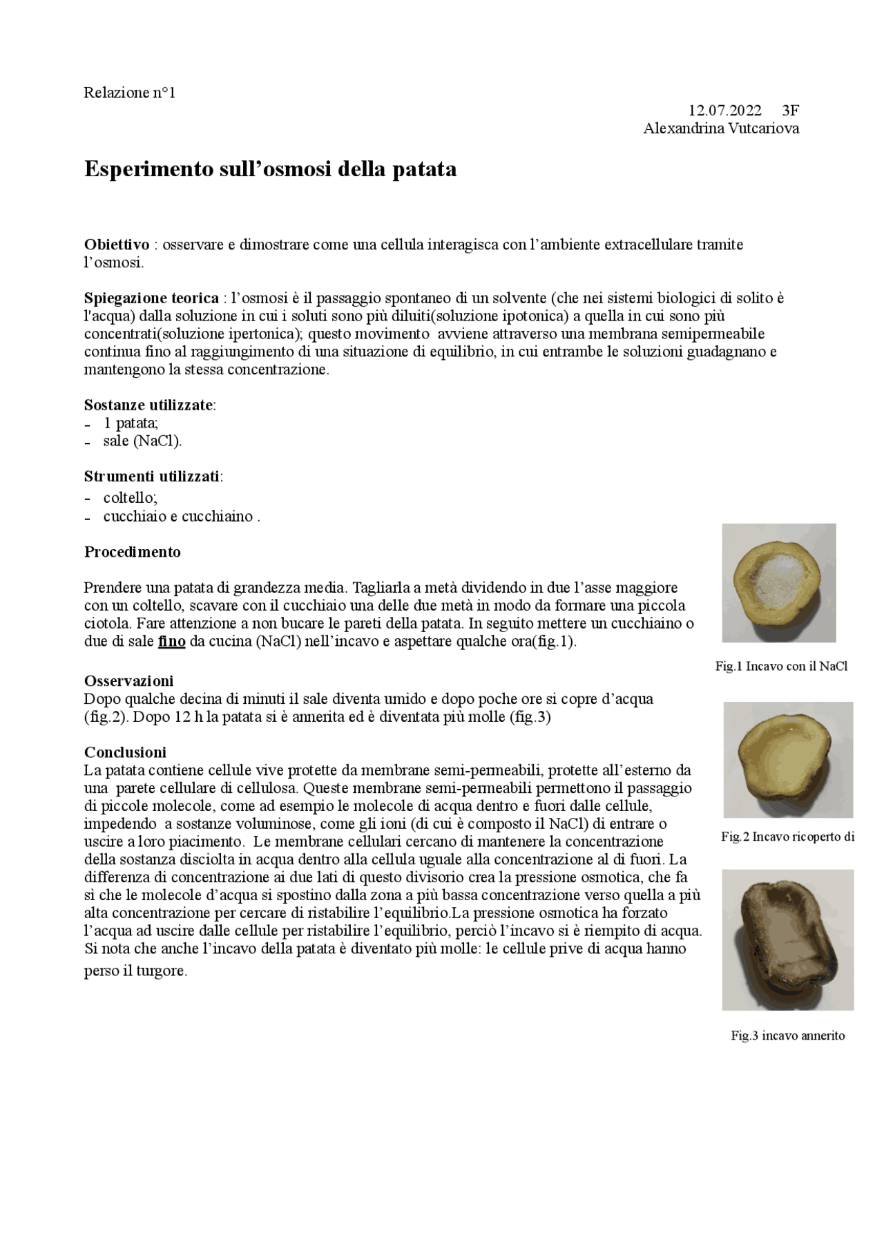 Esperimenti Sull Osmosi Della Patata Guide Progetti E Ricerche Di