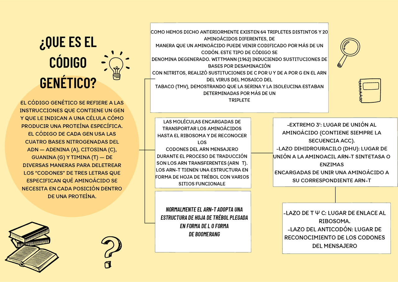 Resumen del código genético | Esquemas y mapas conceptuales de Medicina ...