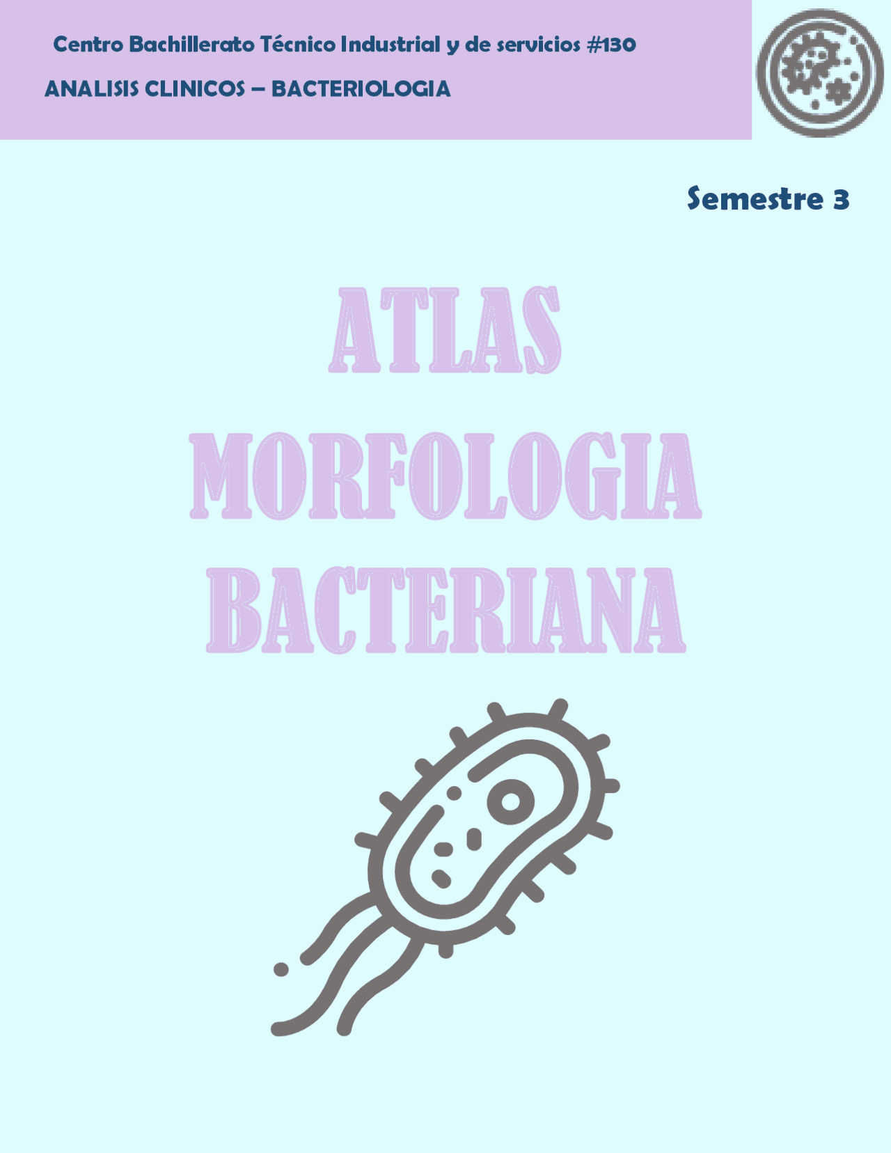 Atlas De Morfologia Bacteriana Notas De Aula De Biologia Docsity