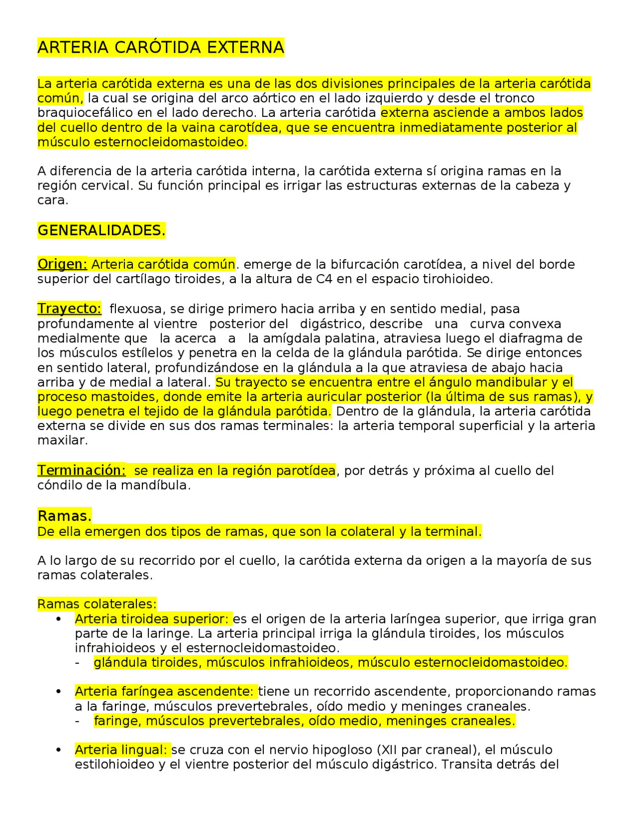 La Arteria Carótida. | Apuntes de Anatomía | Docsity