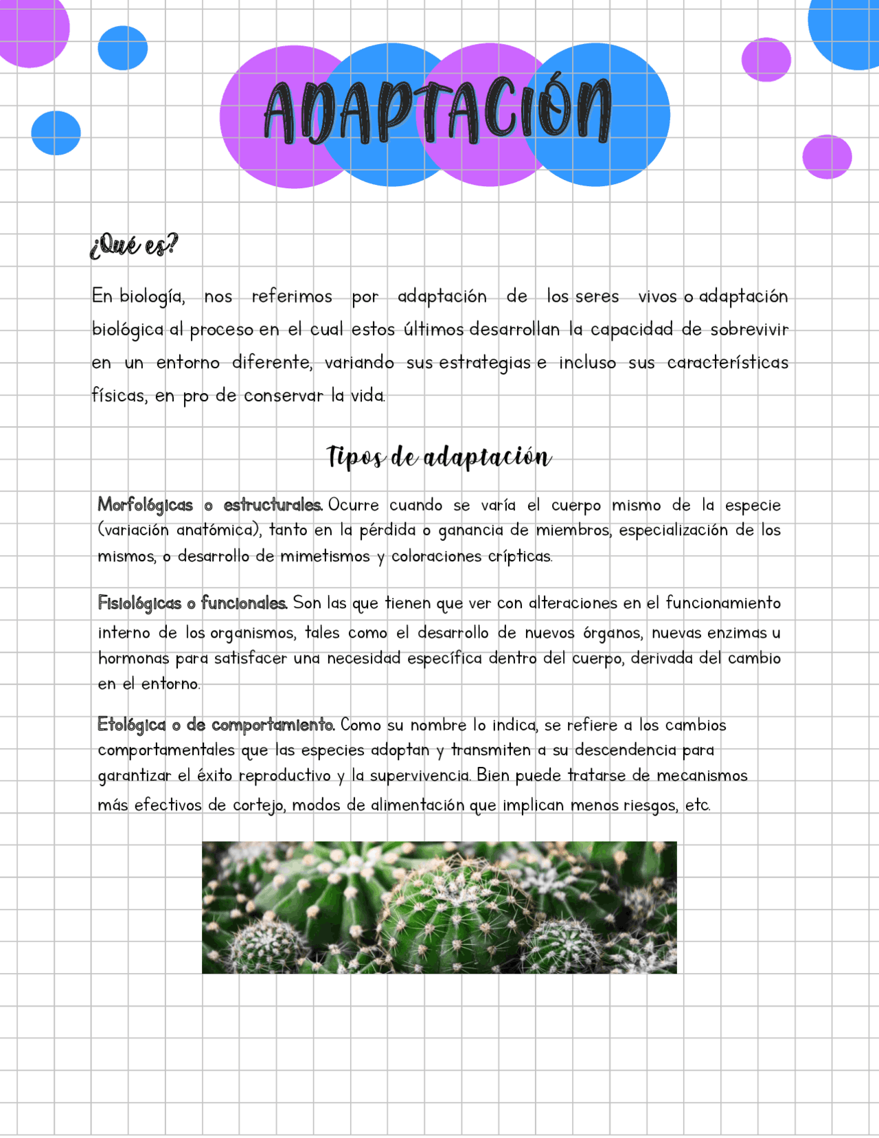 ¿QUE ES ADAPTACIÓN? (TIPOS DE ADAPTACIÓN) | Apuntes de Biología | Docsity