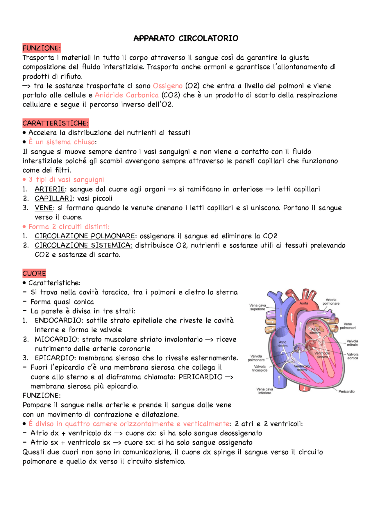 Apparato Circolatorio Appunti Di Biologia Docsity