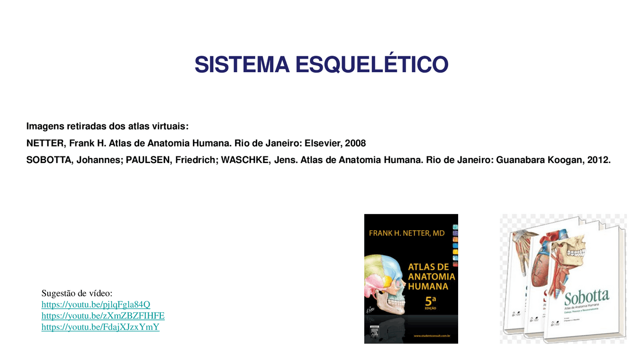 Sistema Esquelético Em Imagens Esquemas Anatomia Docsity