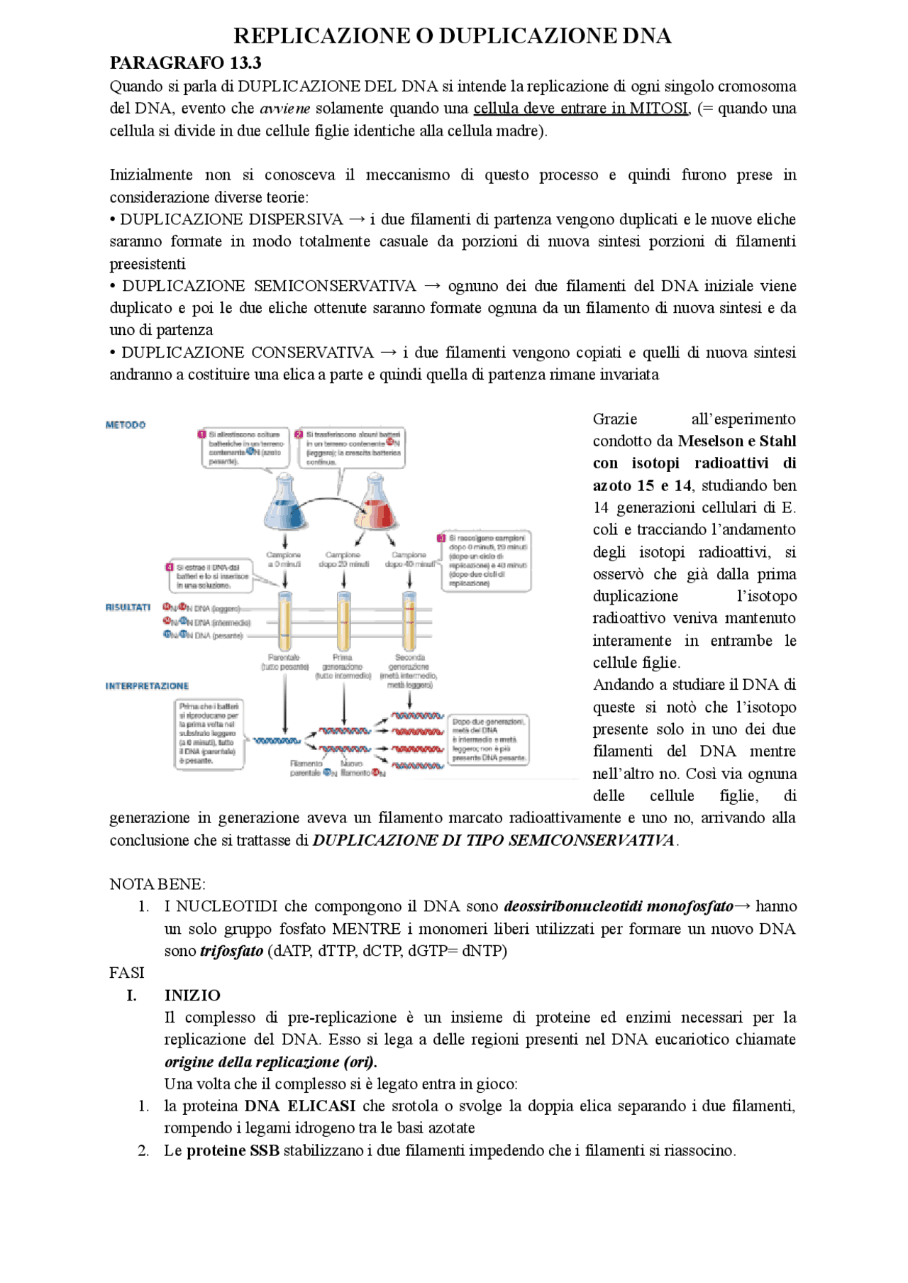 Replicazione Del Dna Appunti Di Citologia Docsity