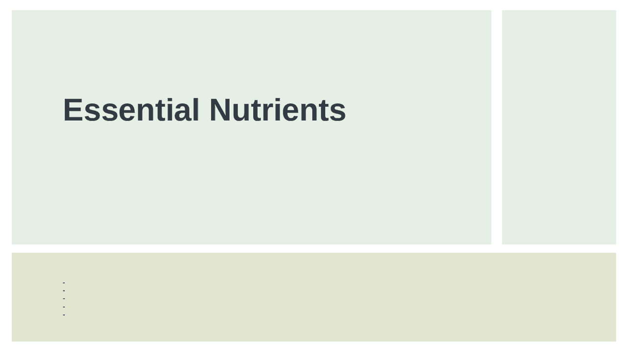 Essential Nutrients- | Summaries Biology | Docsity