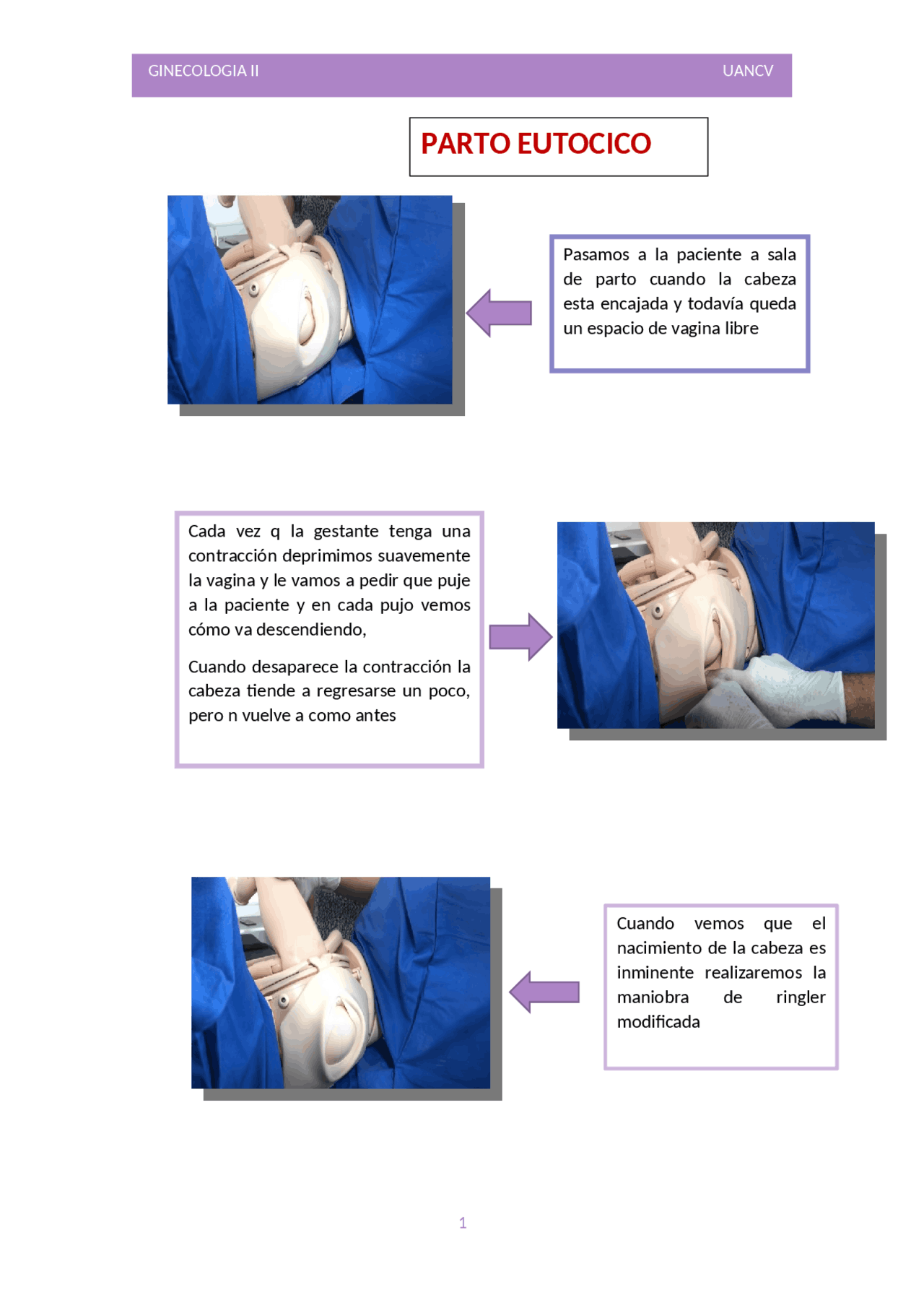 PARTO EUTOCICOPROCEDIMIENTO Y MANEJO MANIOBRAS DE RIGLER , PASO AL ...