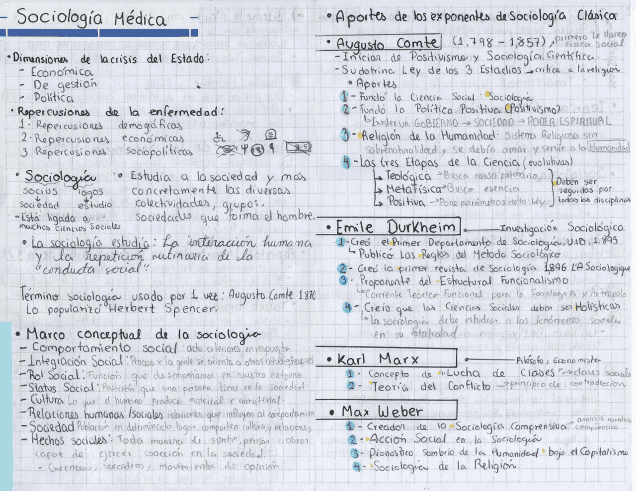 Tarea De Neuroanatomia Cheat Sheet Medicine Docsity