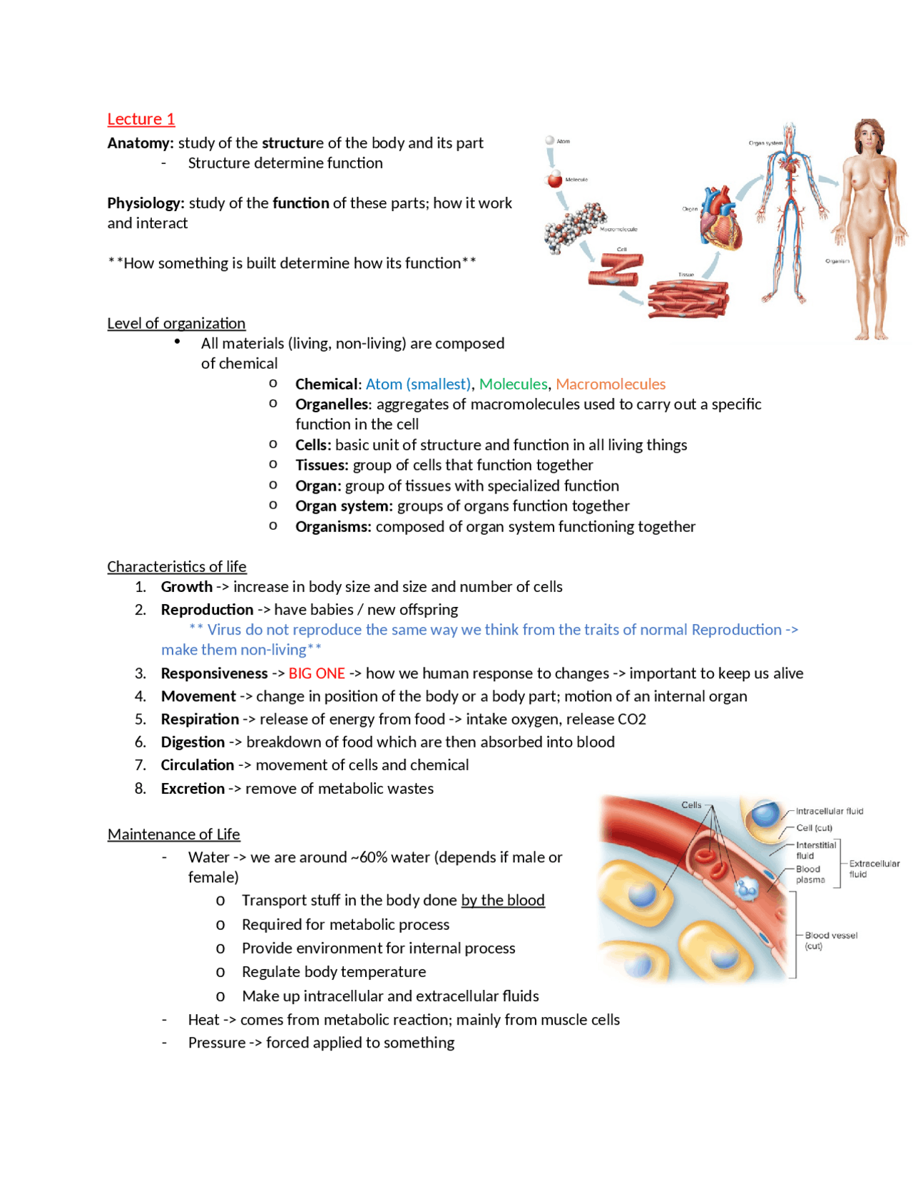 Intro to biology anatomy | Study notes Biology | Docsity