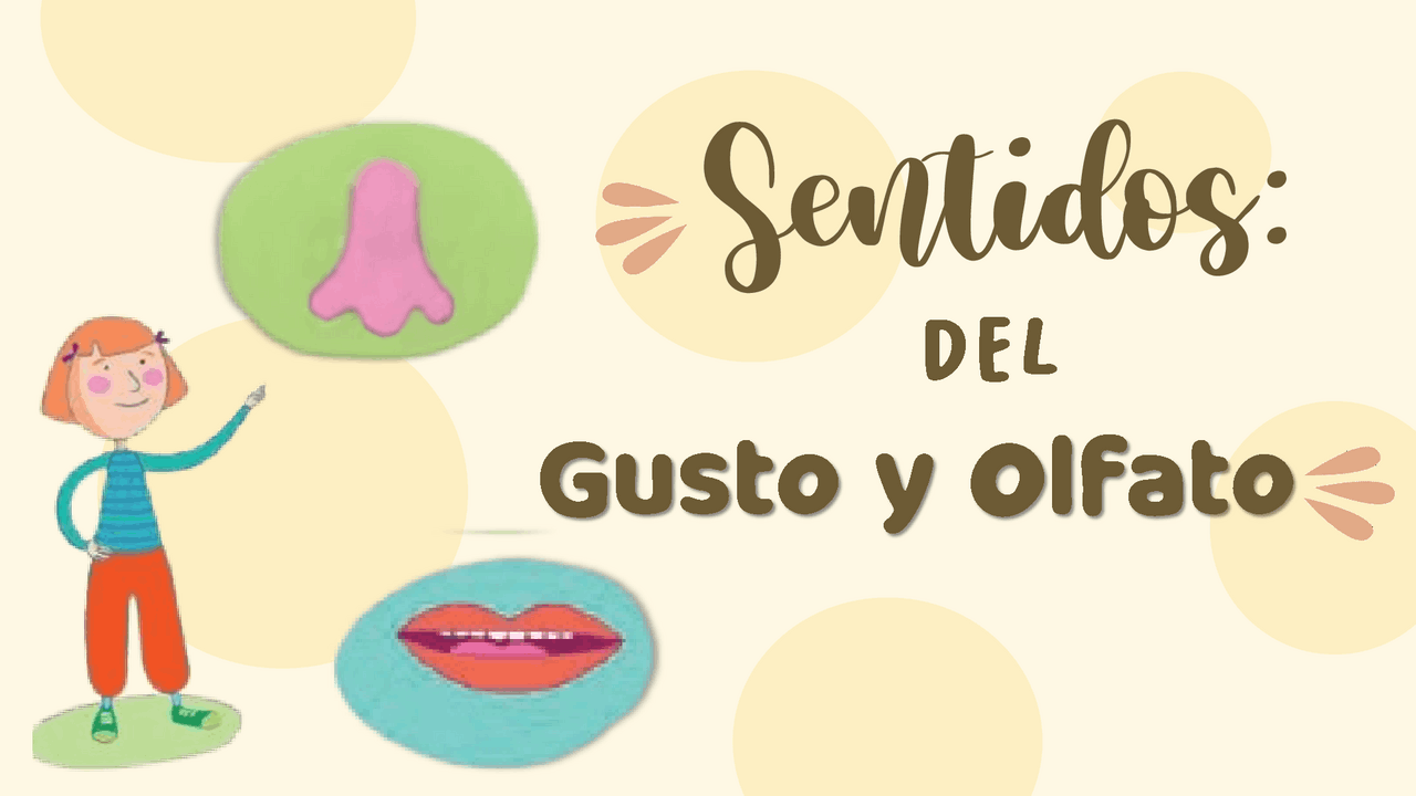 Sentido del Gusto y Olfato | Diapositivas de Enfermería | Docsity