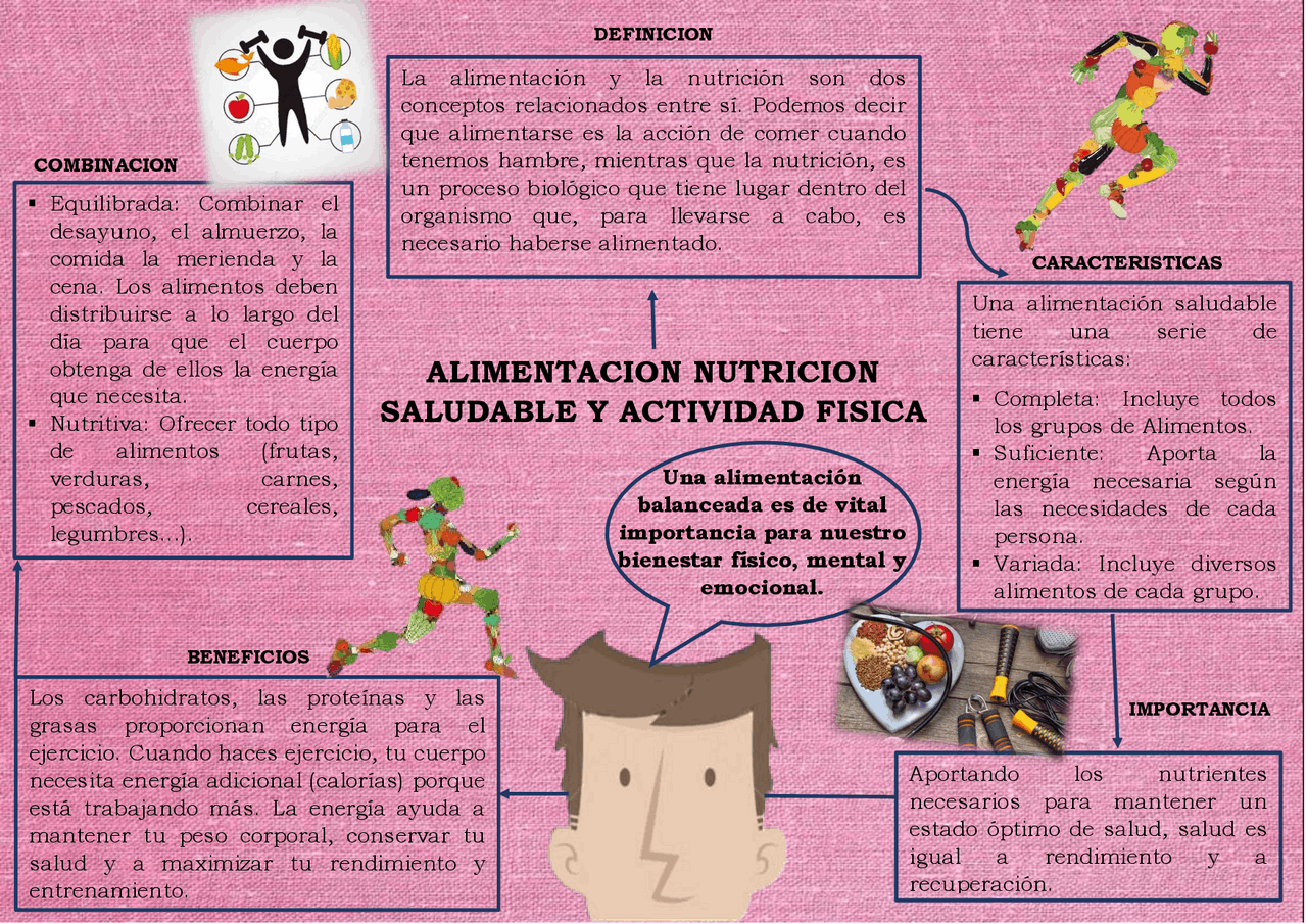 Alimentación, nutrición saludable y actividad física | Esquemas y mapas conceptuales de ...