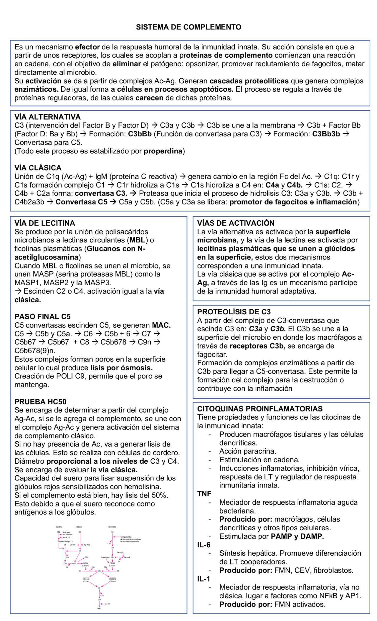 Sistema De Complemento Características Generales Apuntes De