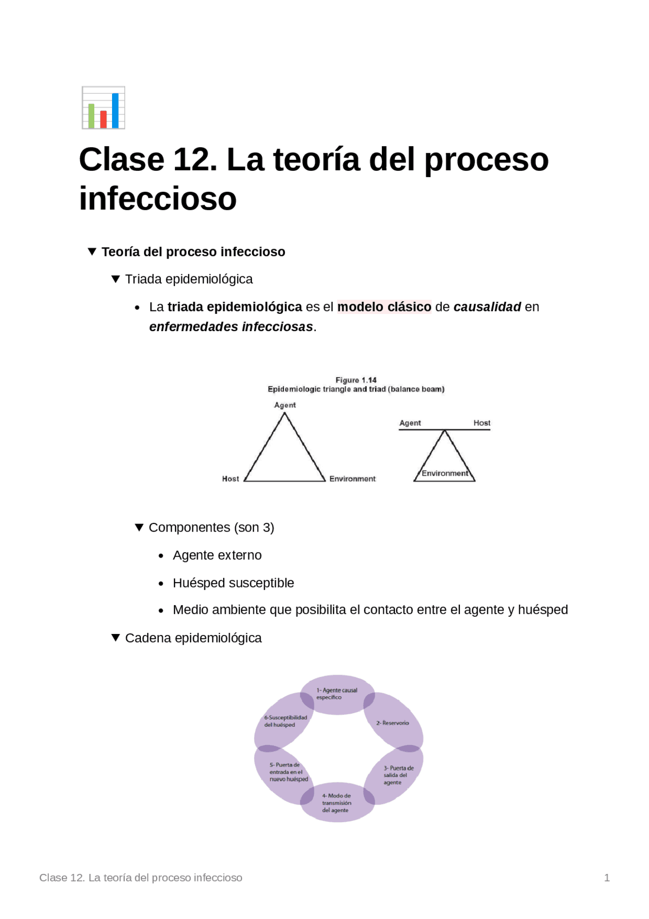 La Teoría Del Proceso Infeccioso Apuntes De Epidemiología Docsity