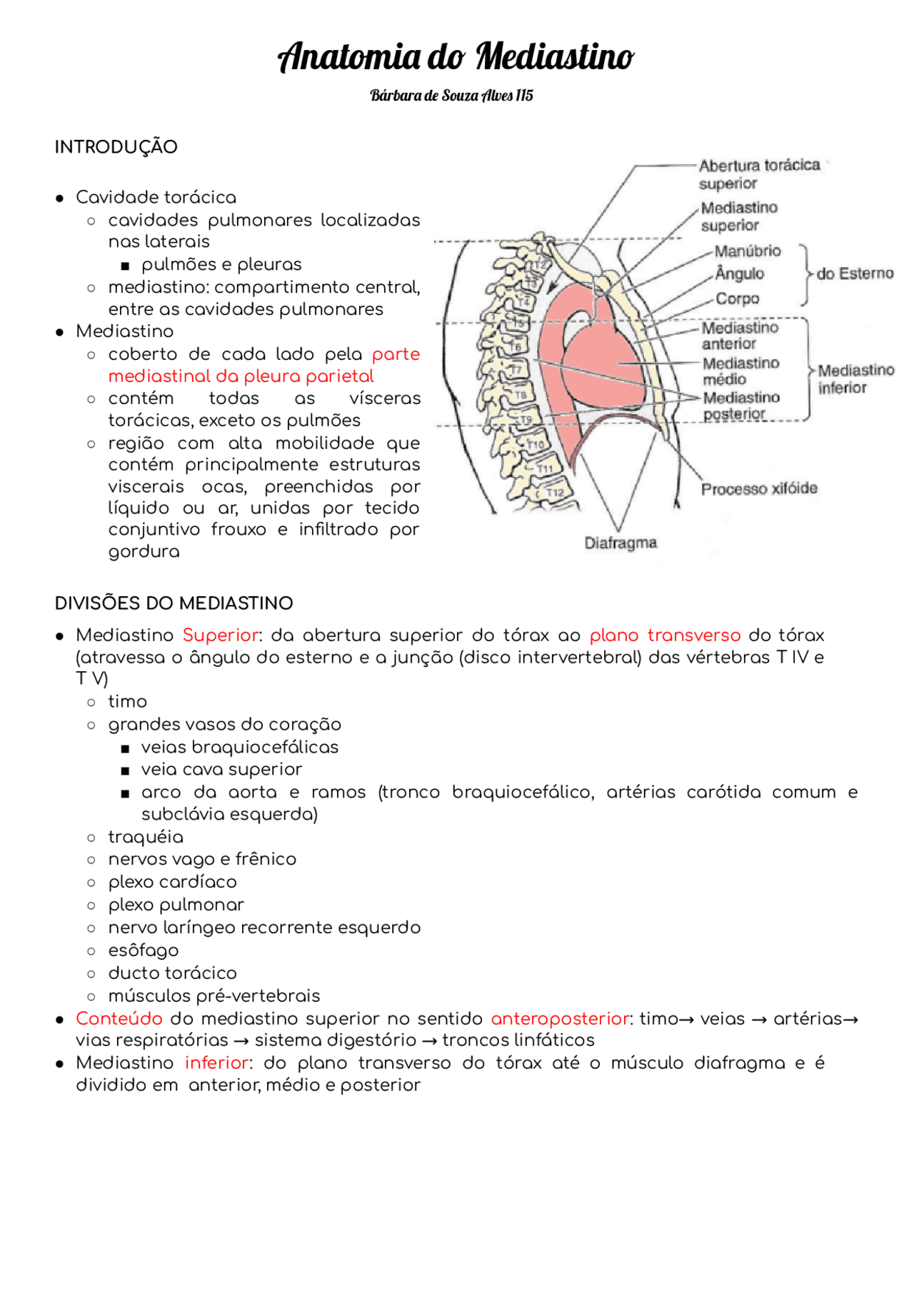Anatomia Do Mediastino Anterior