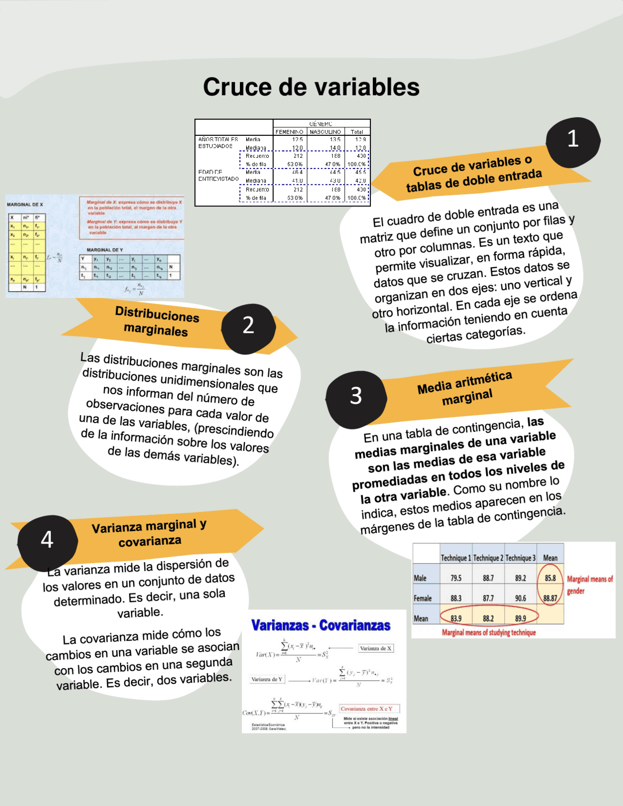 Tipos De Variables Y Su Uso Resúmenes De Matemáticas Docsity