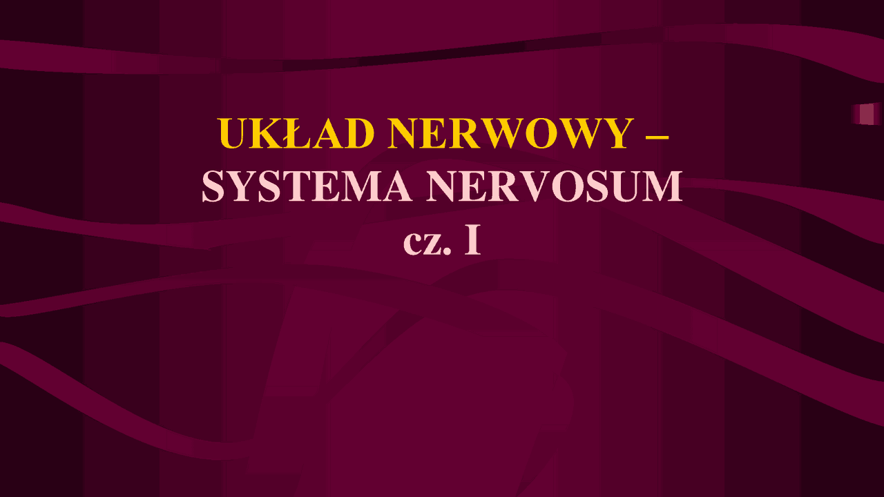 UKŁAD NERWOWY – SYSTEMA NERVOSUM | Egzaminy Szpital | Docsity