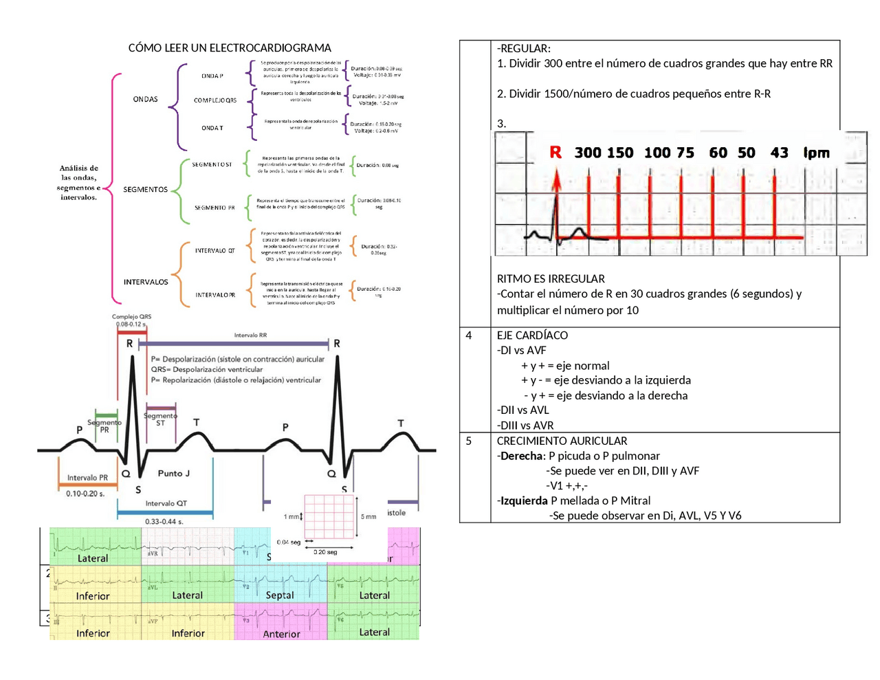 COMO LEER ELECTROCARDIOGRAMA | Esquemas y mapas conceptuales de ...