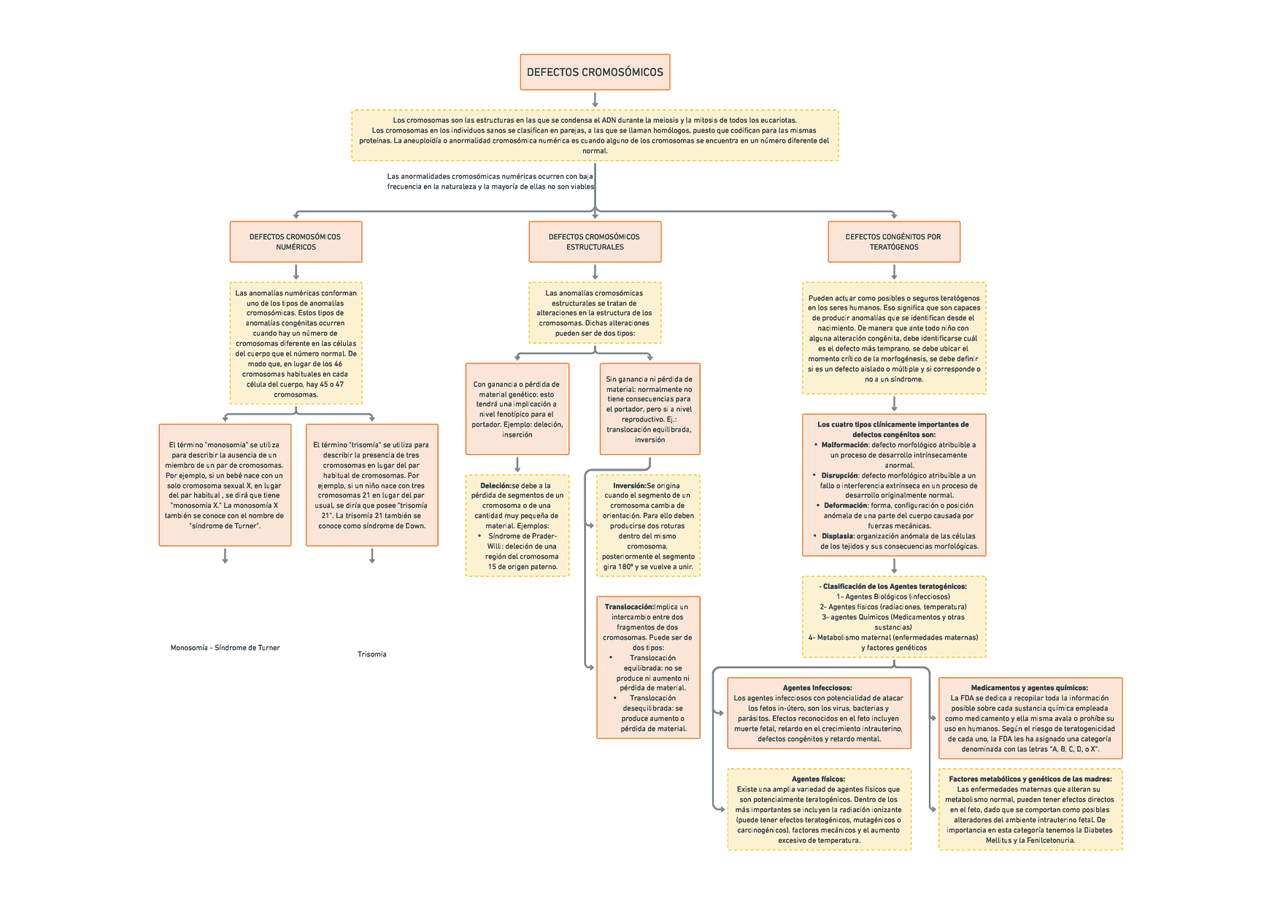 Defectos cromosómicos | Esquemas y mapas conceptuales de Embriología ...