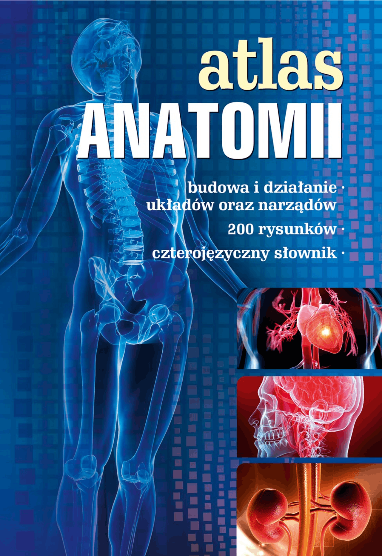 Atlas anatomii | Notatki Anatomia człowieka | Docsity