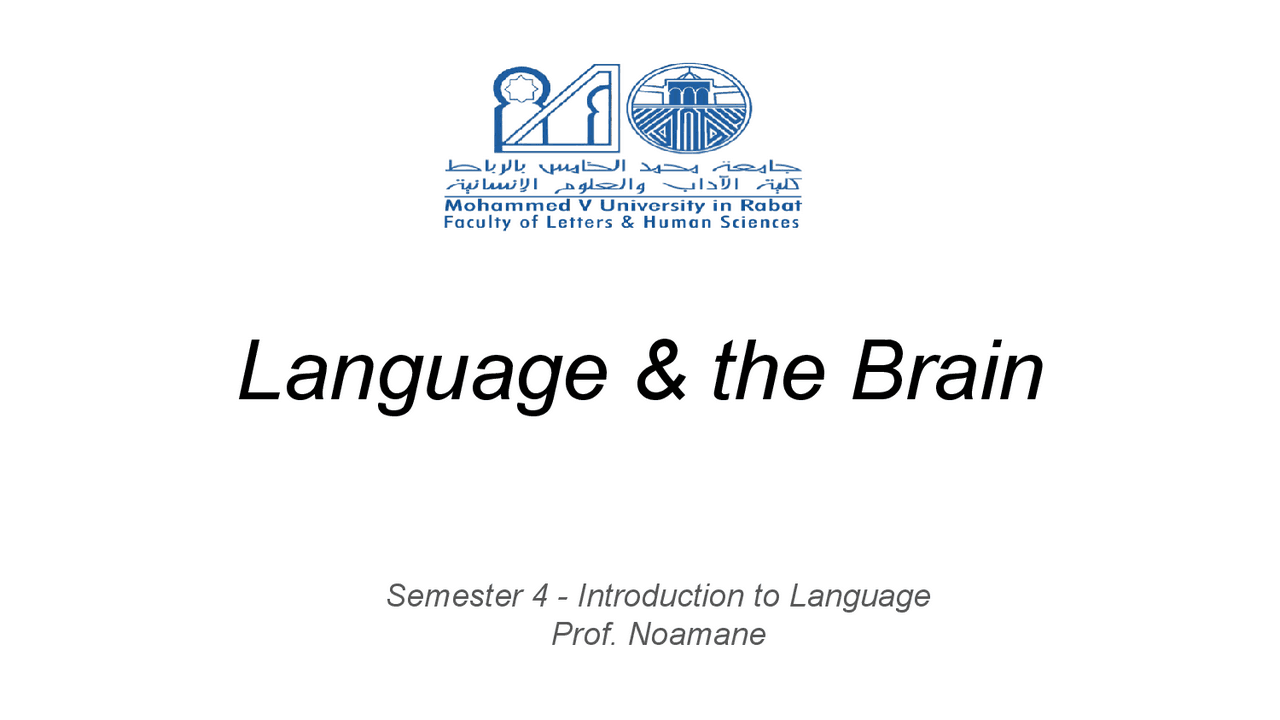 Language And The Brain Lecture Notes English Language Docsity