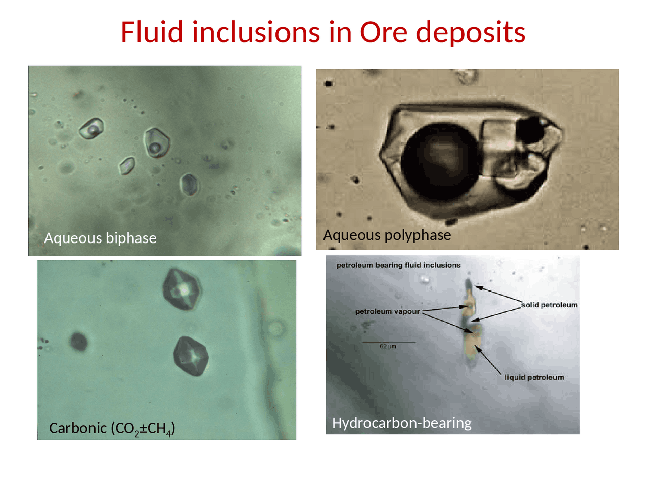 Fluid inclusions in Ore deposits | Study Guides, Projects, Research ...