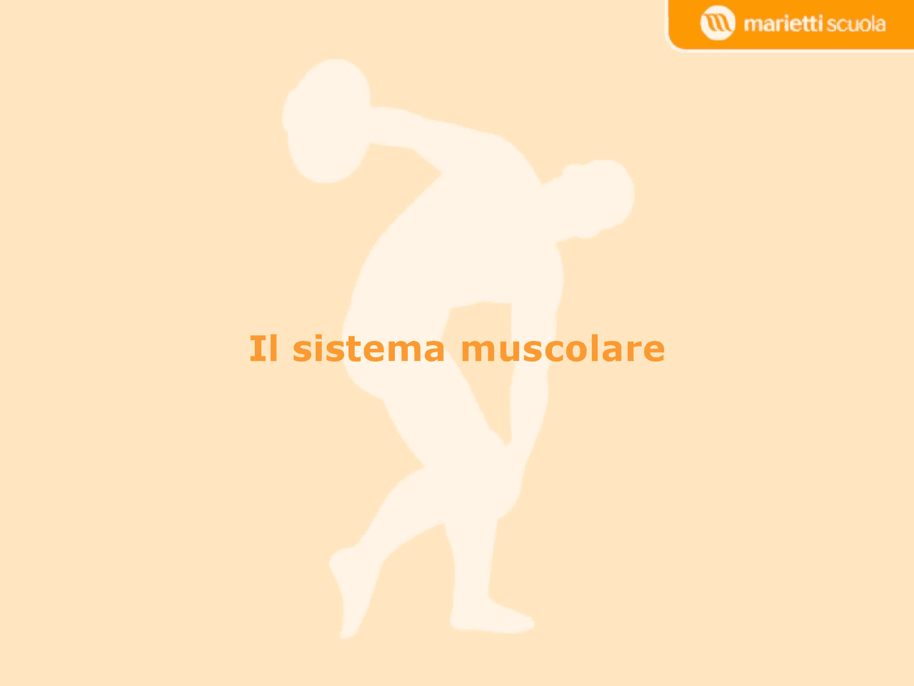 Il sistema muscolare | Slide di Anatomia | Docsity