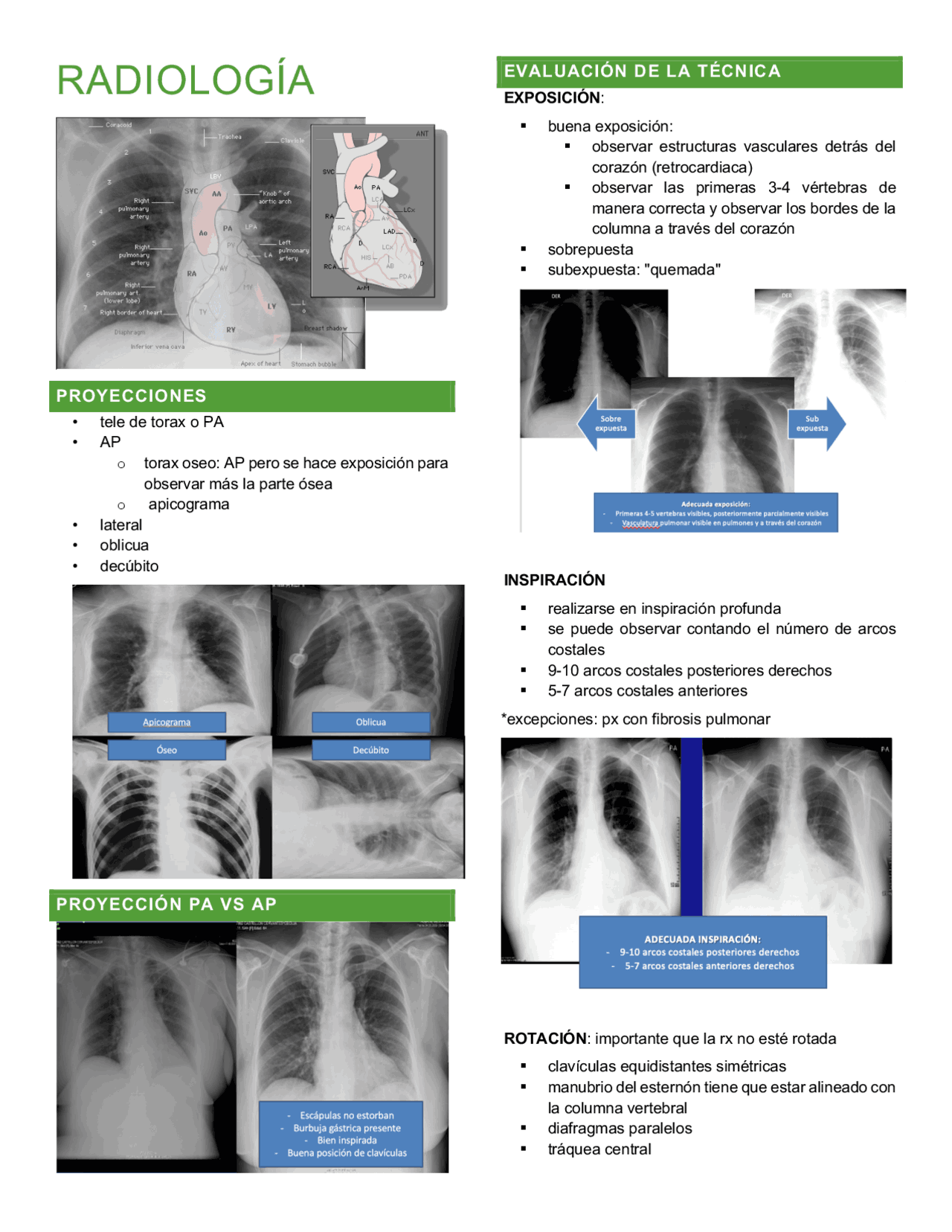 Interpretación Radiológica Apuntes De Neumología Docsity