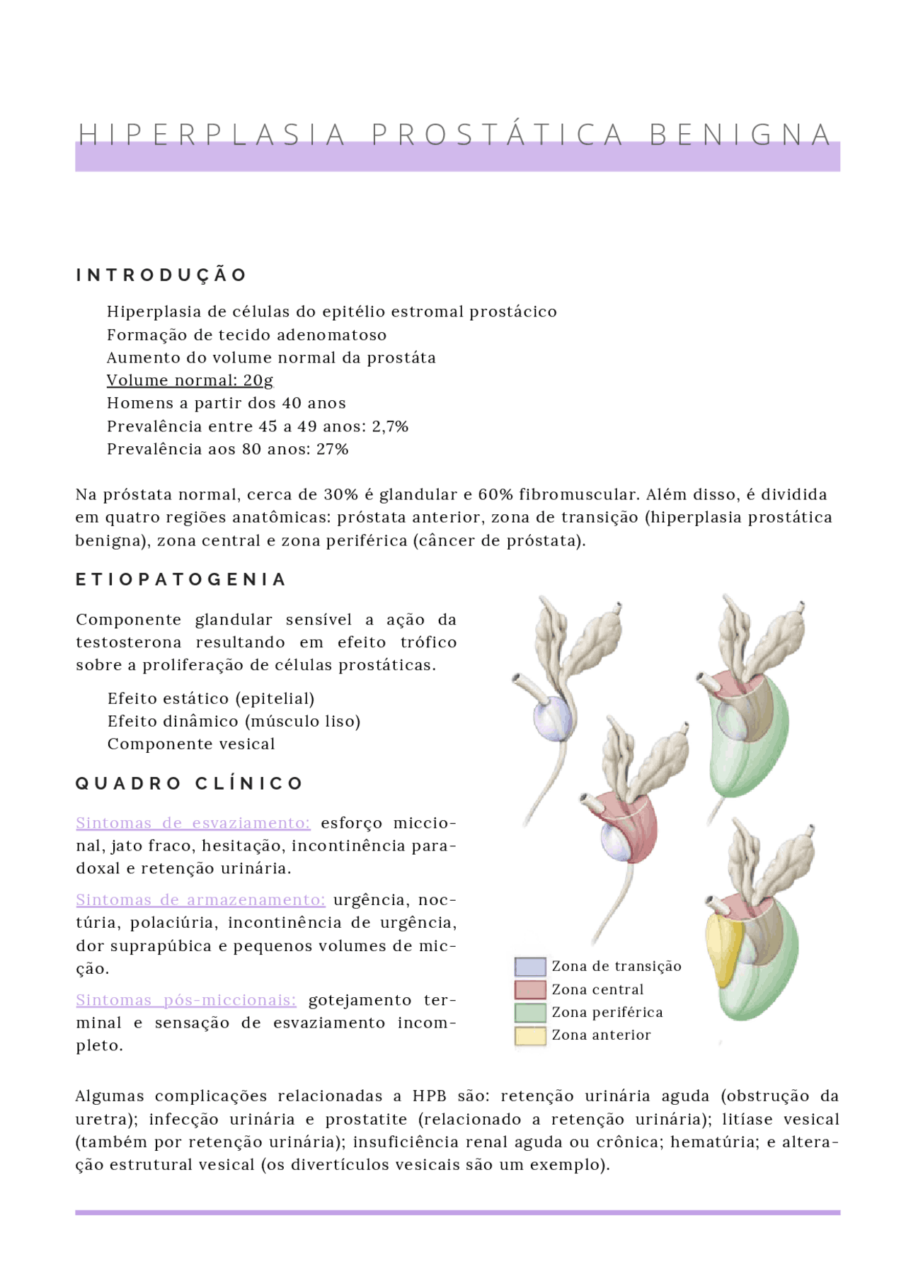 Resumo abordando os principais pontos da HPB | Esquemas Urologia | Docsity