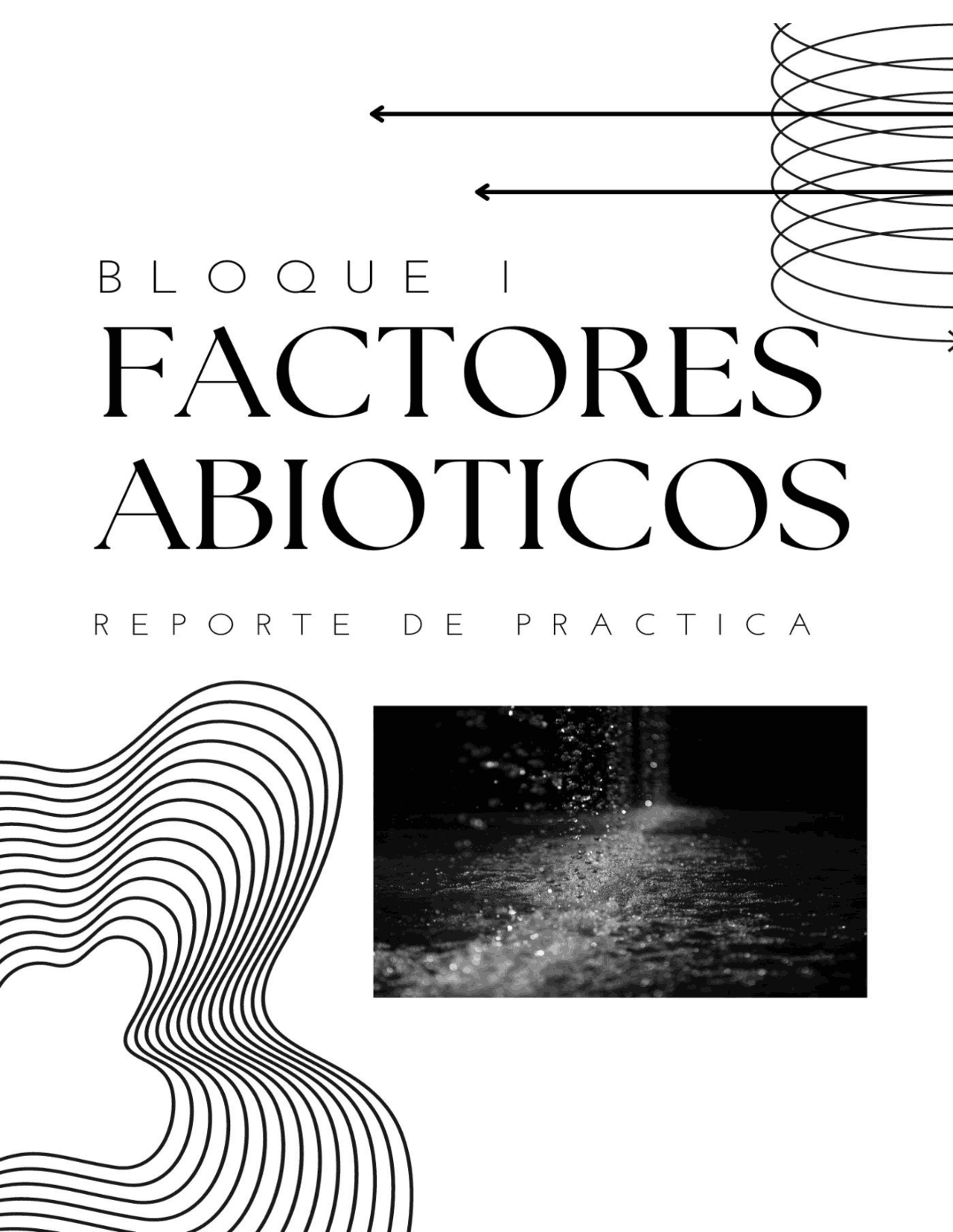Practica De Laboratorio De Ecologia Resúmenes De Filosofía Docsity