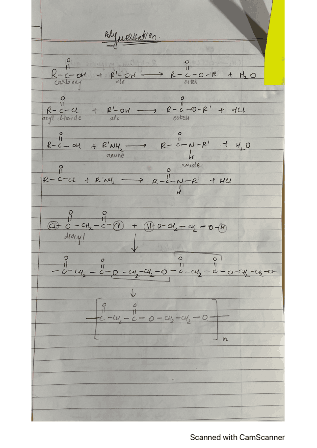 Polymer (chemistry) study notes | Study notes Chemistry | Docsity