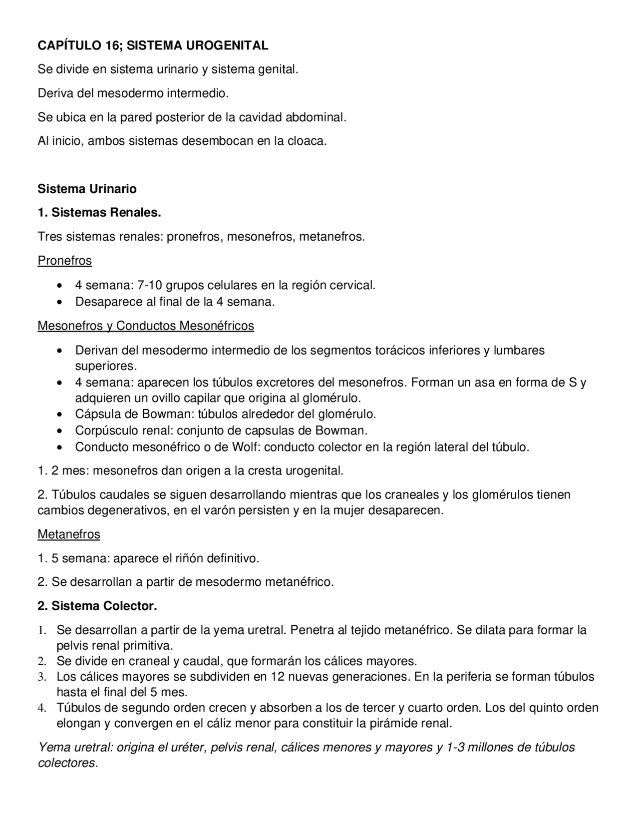 CapÍtulo 16 Langman Resúmenes De Embriología Docsity