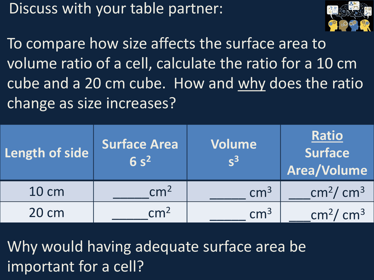 To compare how size affects the surface area to volume ratio ...