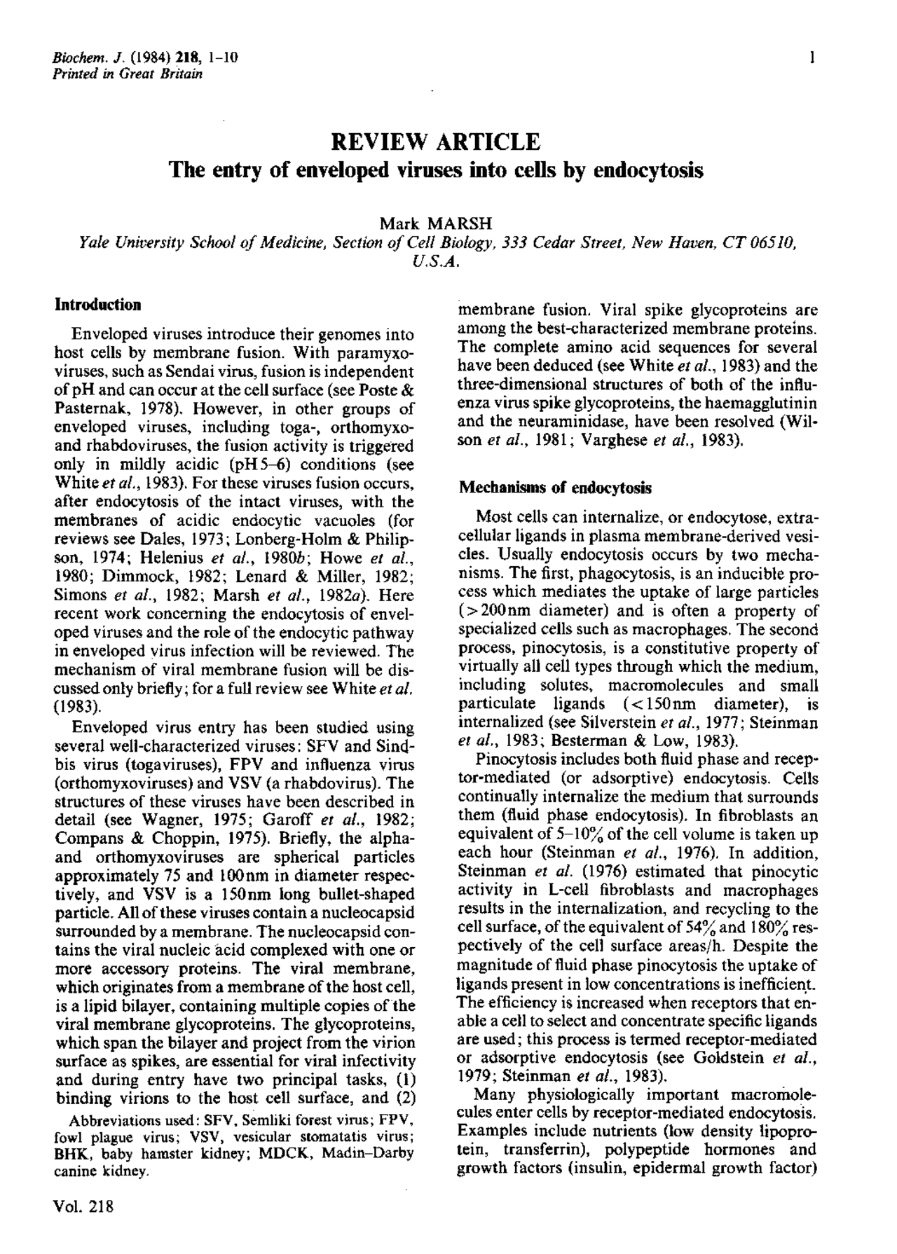 The Entry Of Enveloped Viruses Into Cells By Endocytosis Schemes And