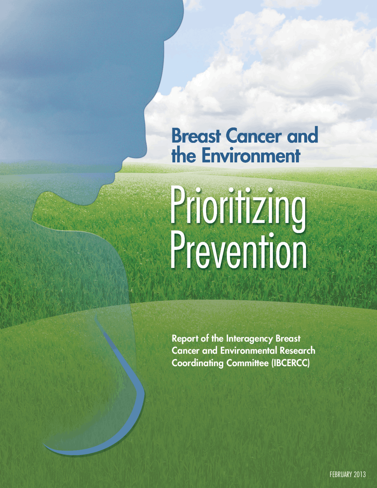 Breast Cancer and the Environment. Prioritizing Prevention | Schemes ...