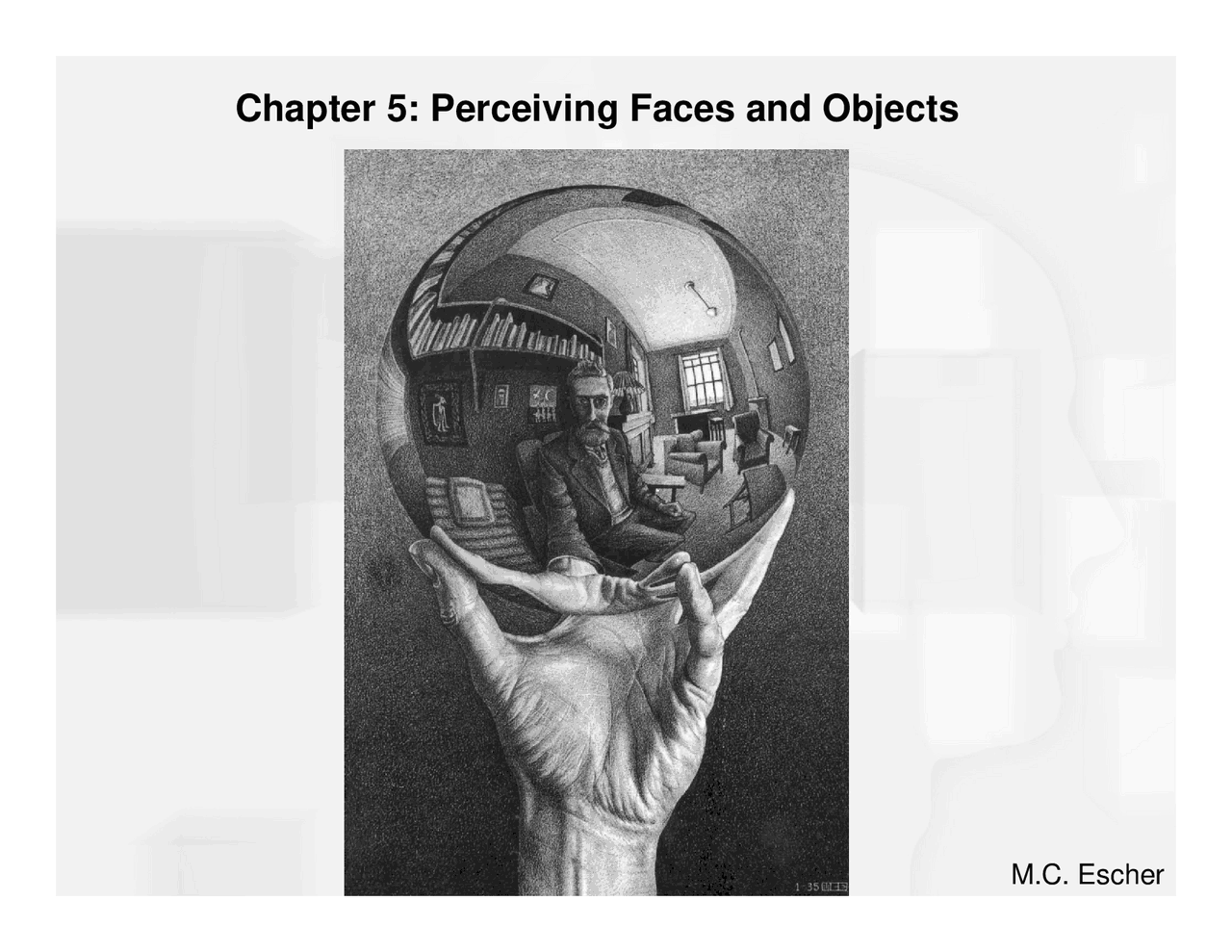 Chapter 5 Perceiving Faces And Objects Exams Law Docsity