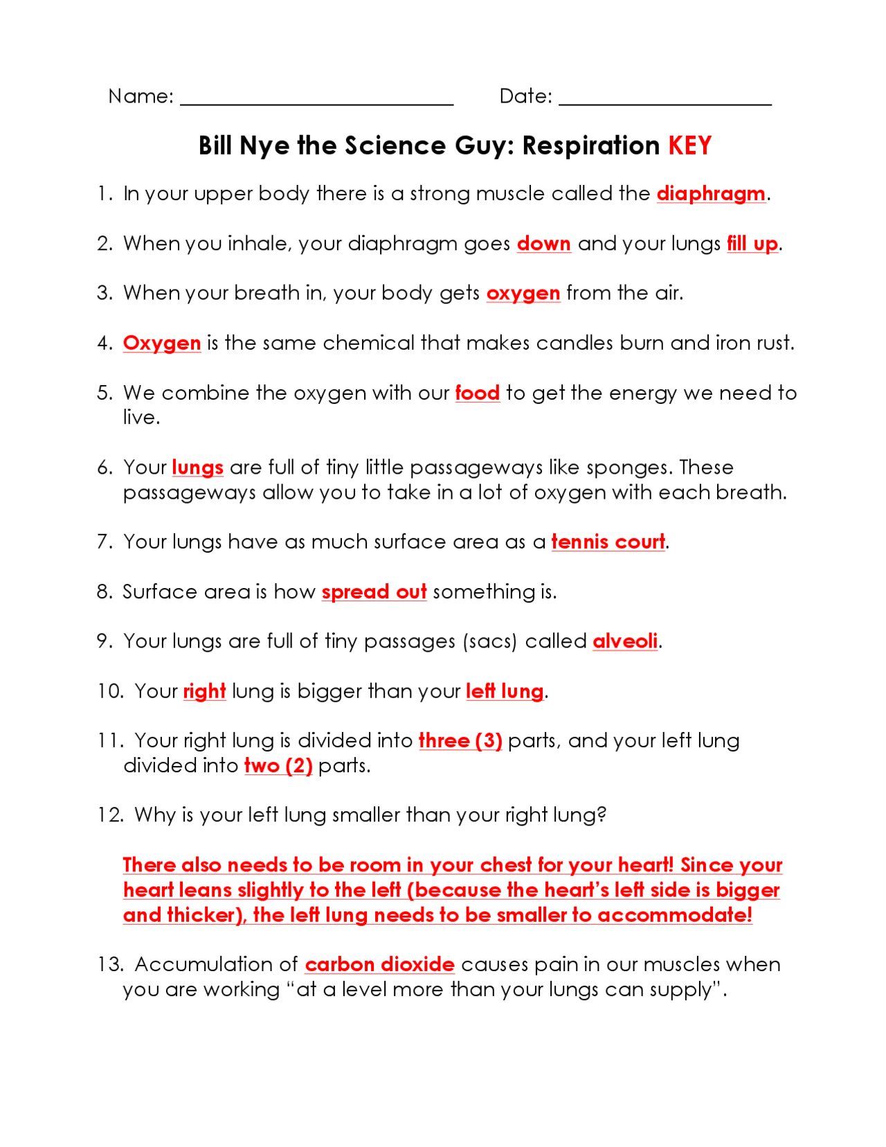 Bill Nye The Science Guy Respiration Key Lecture Notes Science
