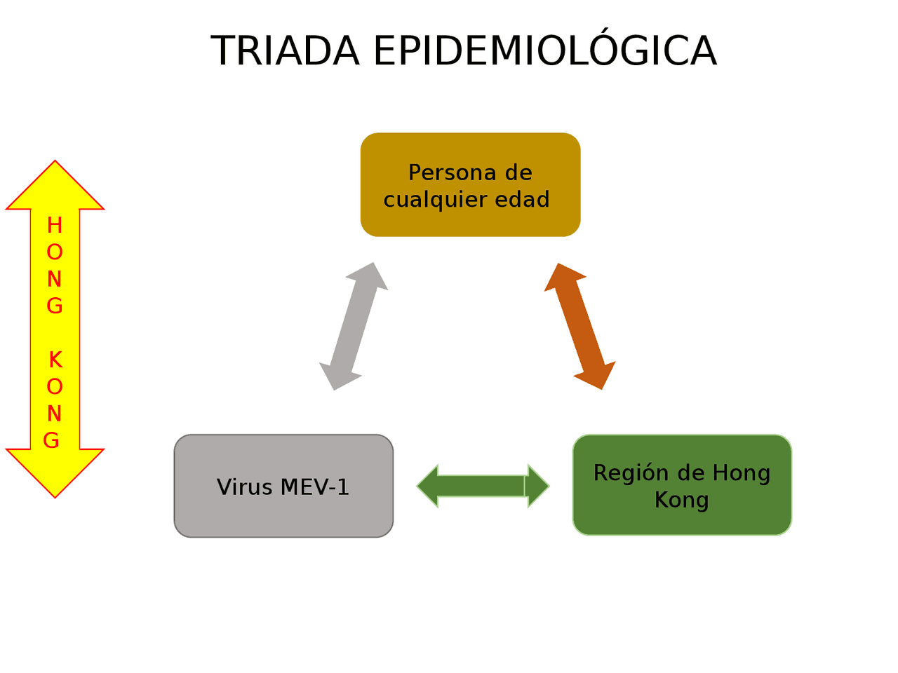 Triada de la pelicula el contagio | Ejercicios de Epidemiología | Docsity