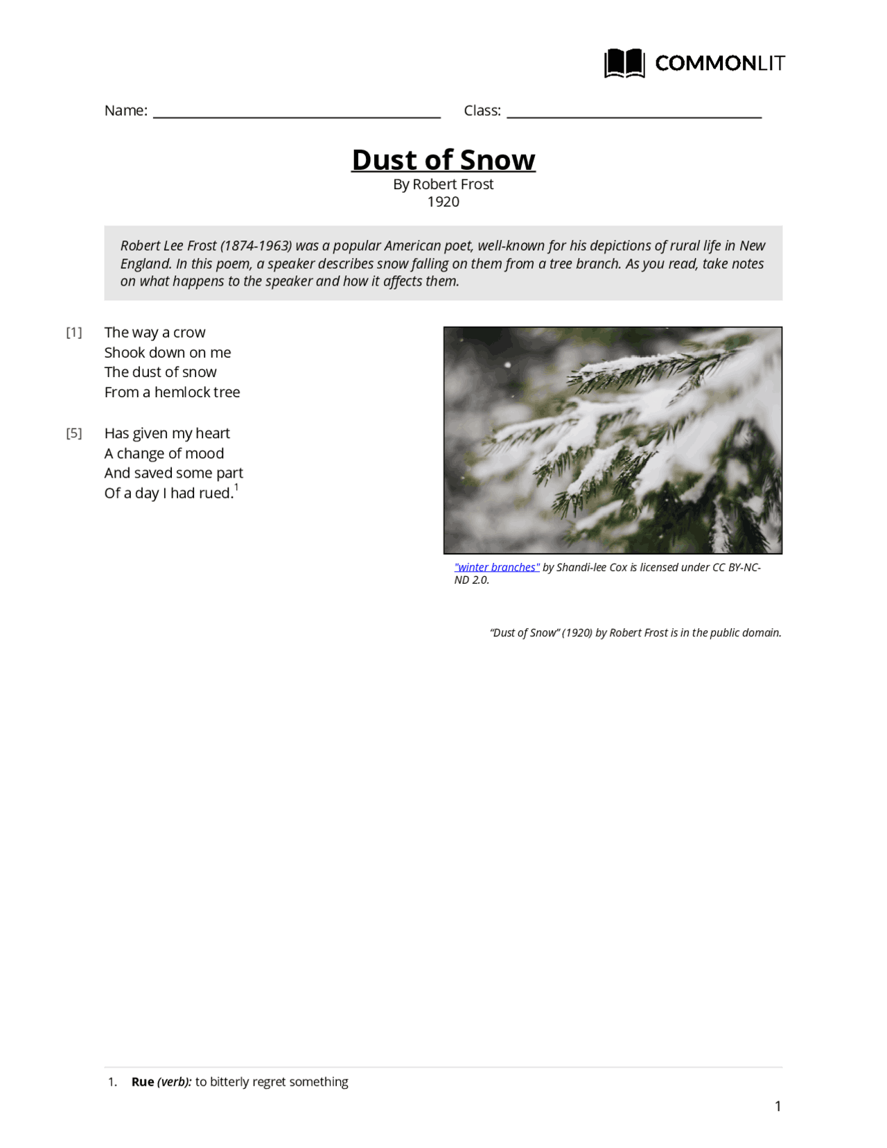 CommonLit | Dust of Snow | Schemes and Mind Maps Poetry | Docsity