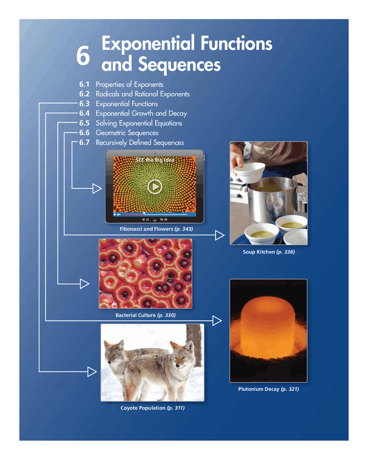 Exponential Functions And Sequences Schemes And Mind Maps Algebra
