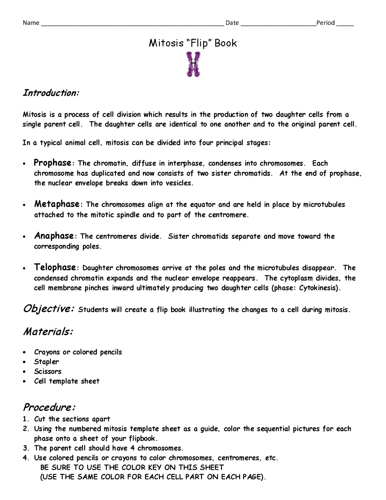 Mitosis “Flip” Book | Exams Cell Biology | Docsity