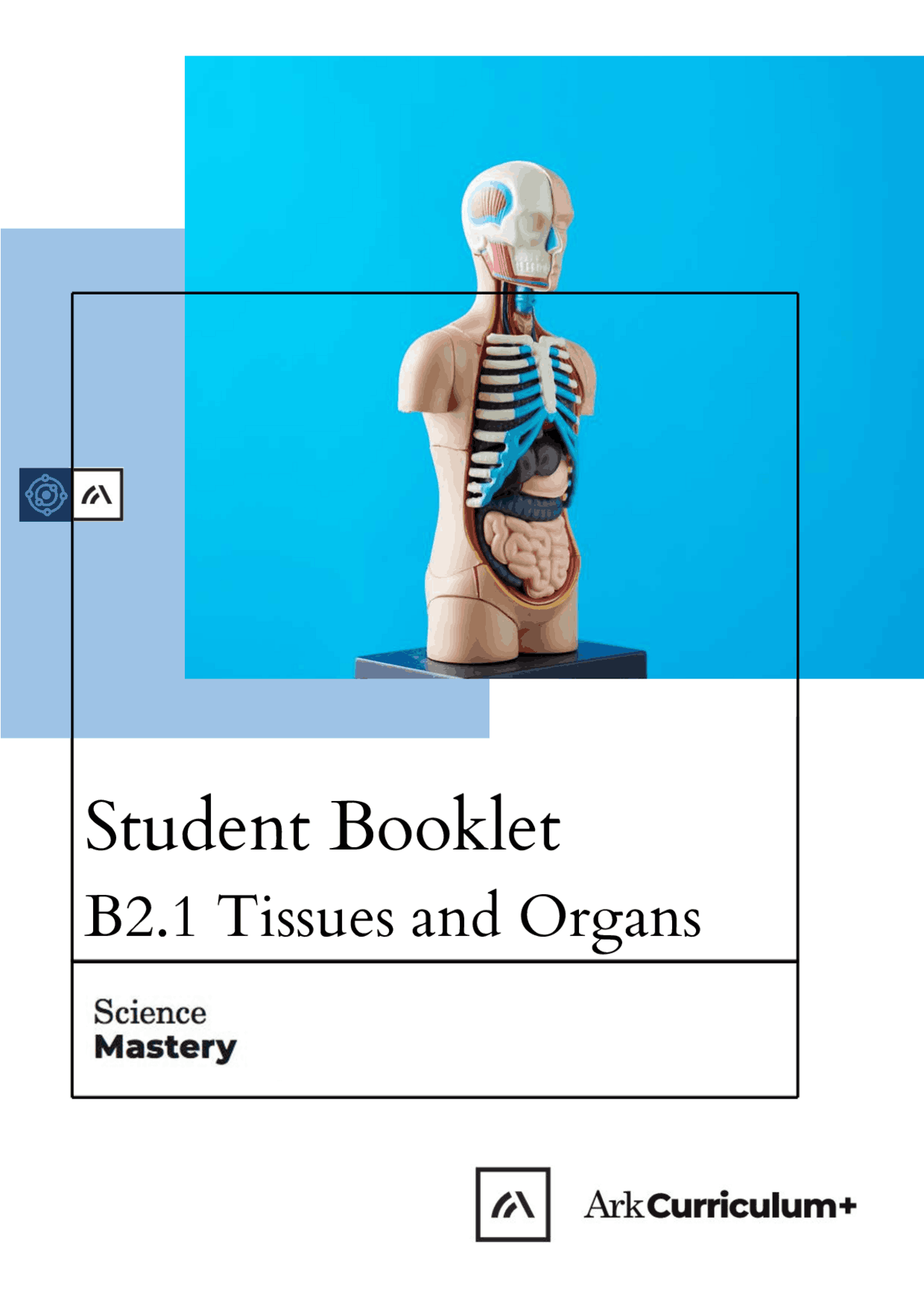 B2.1 Student Booklet.pdf | Lecture notes Art | Docsity